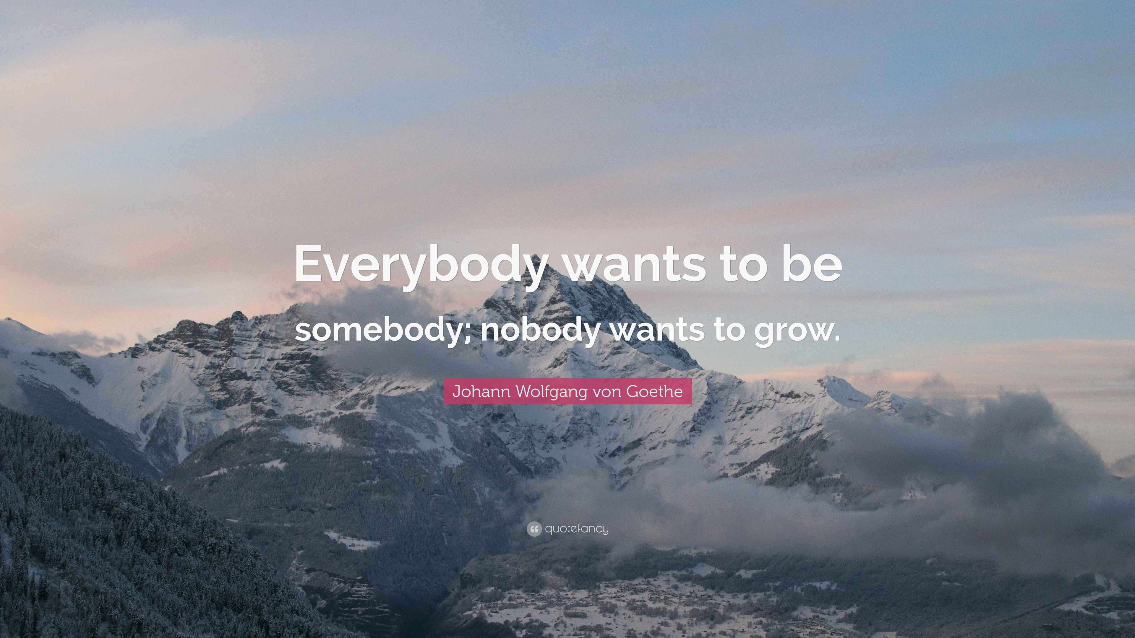 Johann Wolfgang von Goethe Quote: “Everybody wants to be somebody ...