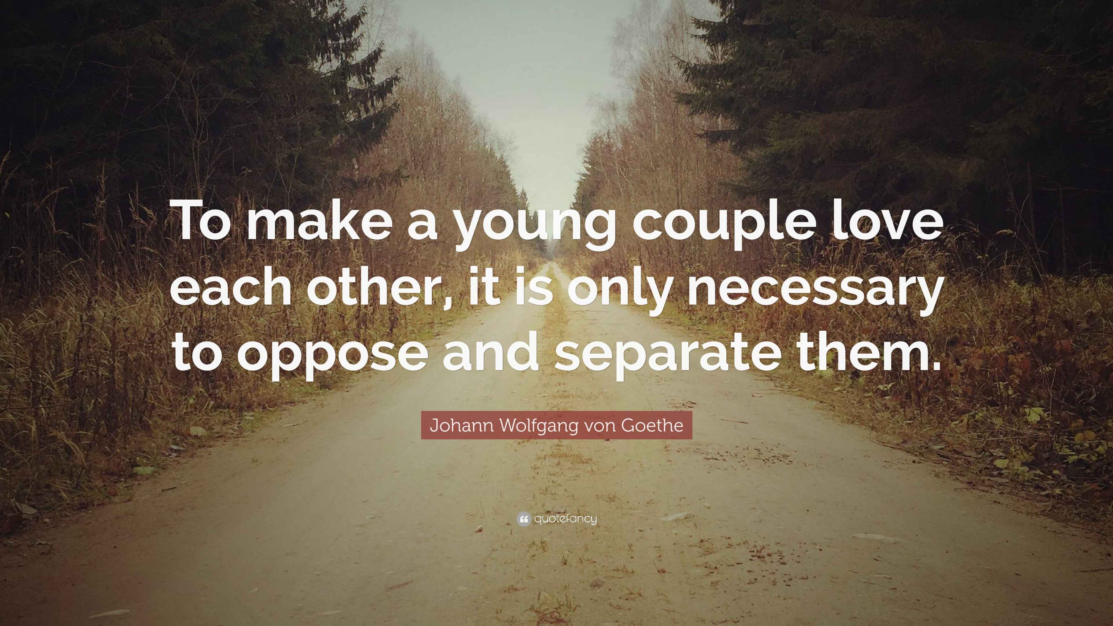 Johann Wolfgang von Goethe Quote: “To make a young couple love each ...