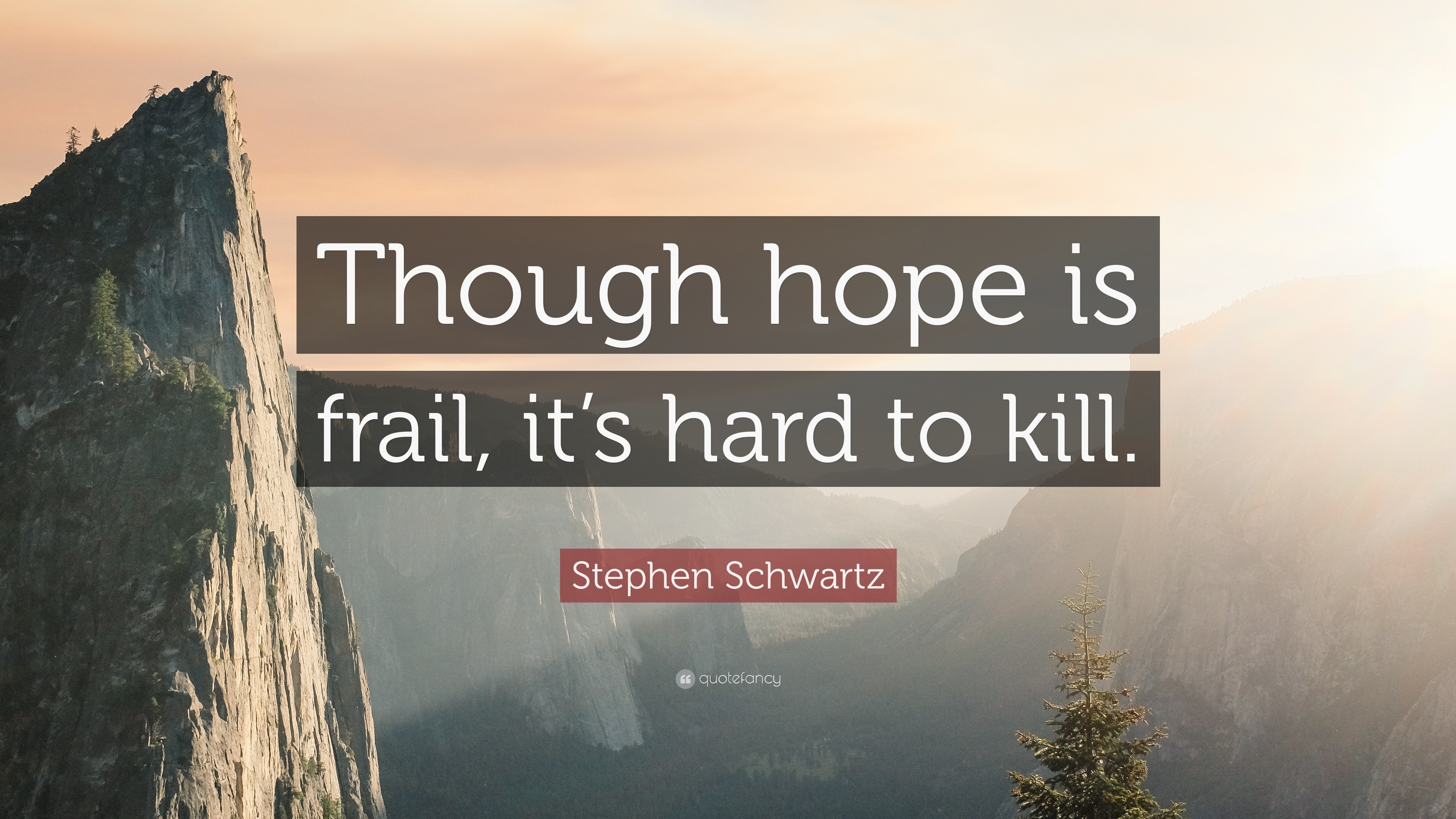 Stephen Schwartz Quote: “Though hope is frail, it’s hard to kill.”