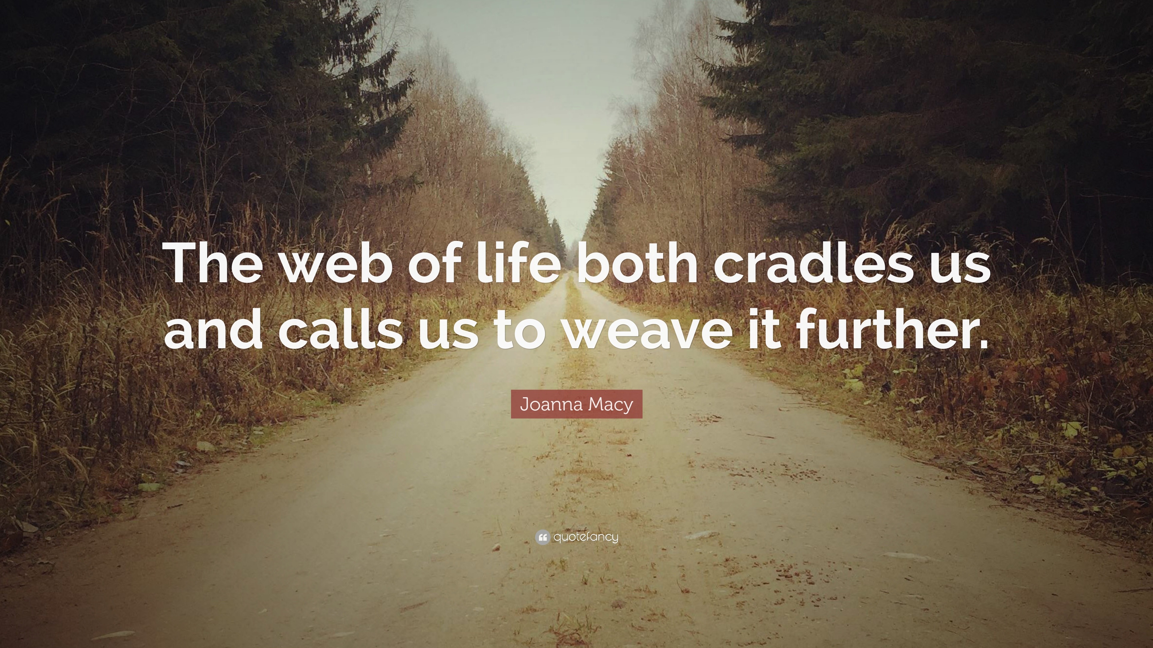 Joanna Macy Quote: “The web of life both cradles us and calls us to ...