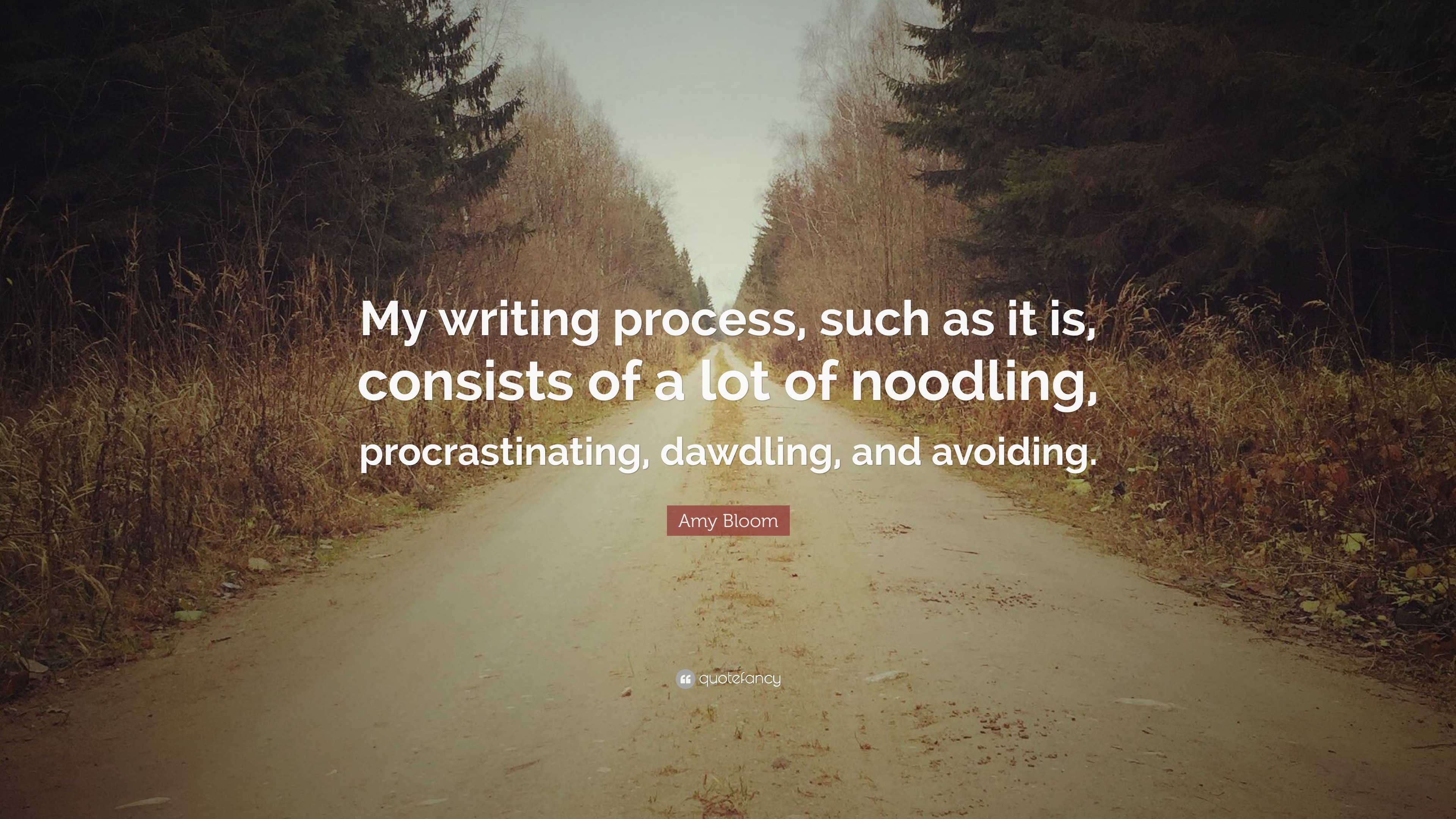 Amy Bloom Quote: “My writing process, such as it is, consists of a lot ...