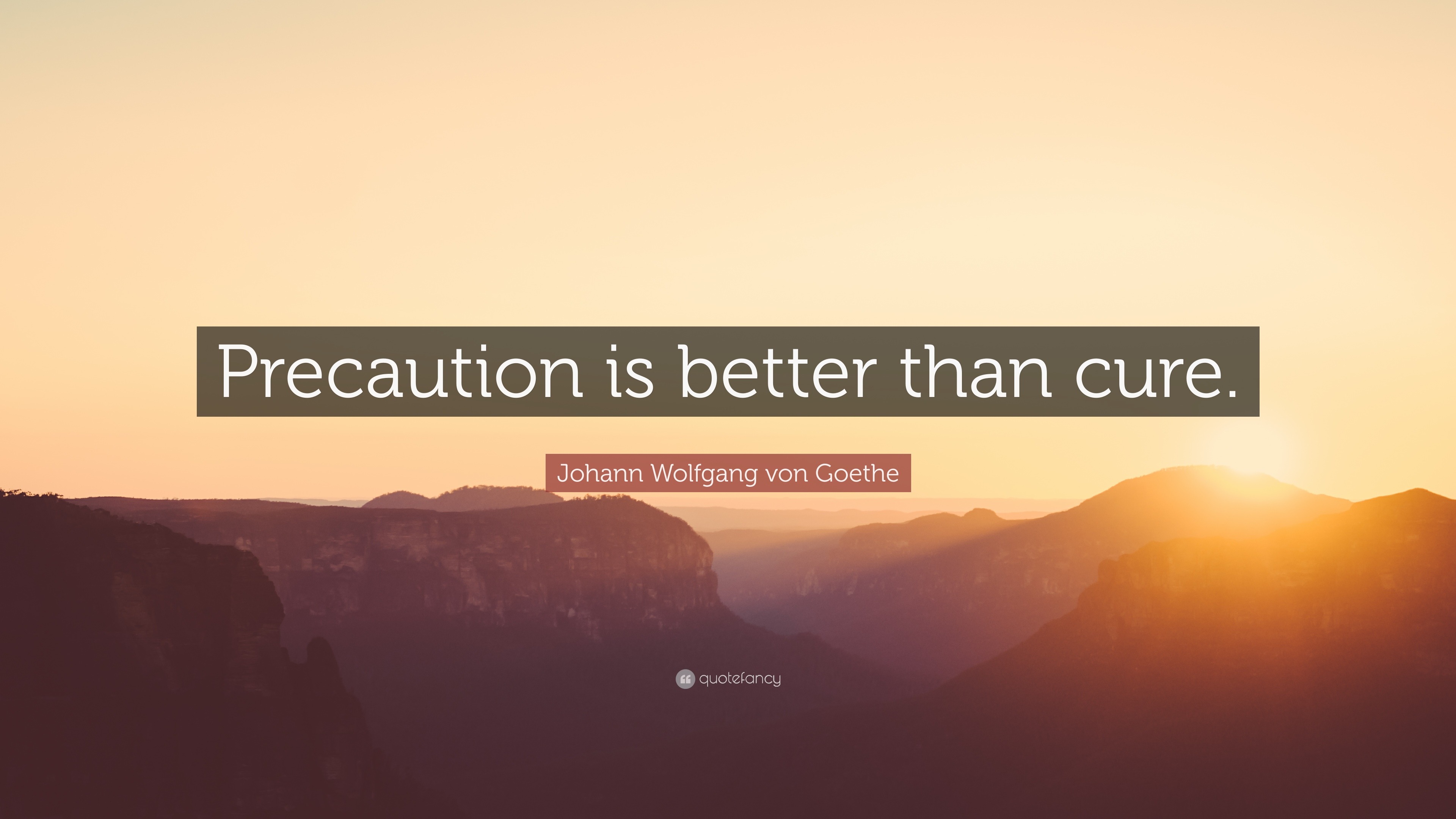 Johann Wolfgang von Goethe Quote: “Precaution is better than cure.”