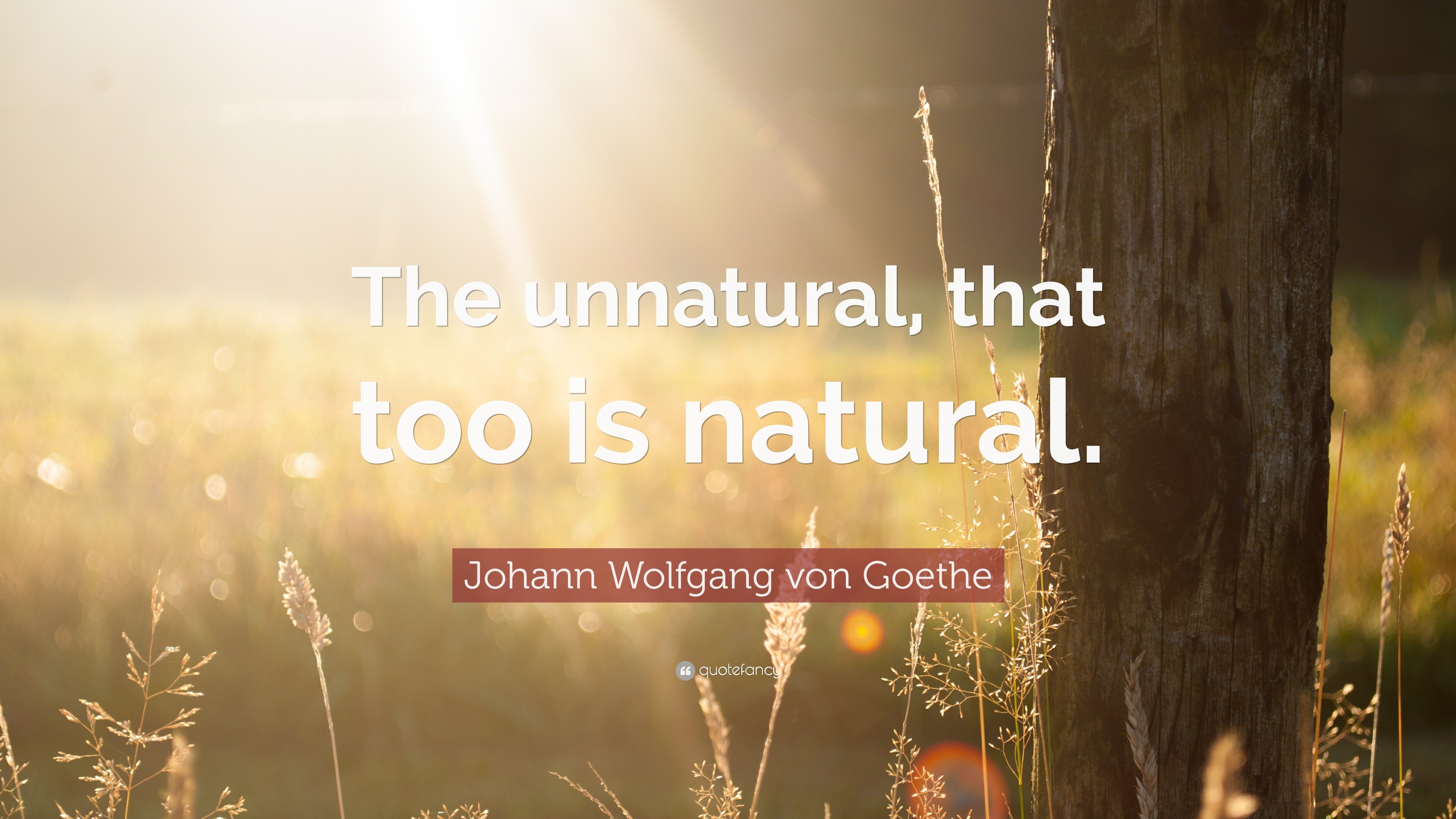 Johann Wolfgang von Goethe Quote: “The unnatural, that too is natural.”