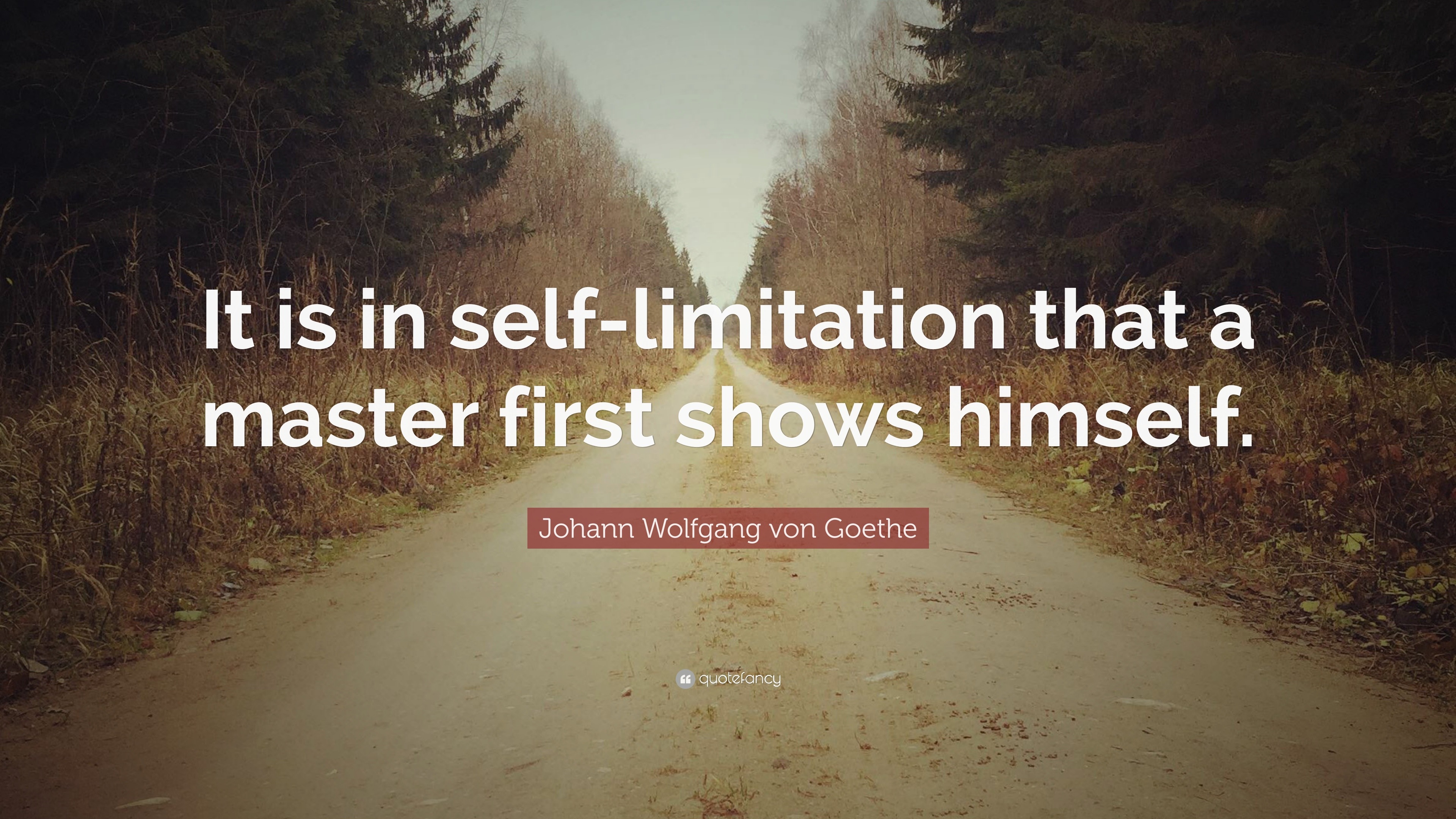 Johann Wolfgang von Goethe Quote: “It is in self-limitation that a ...