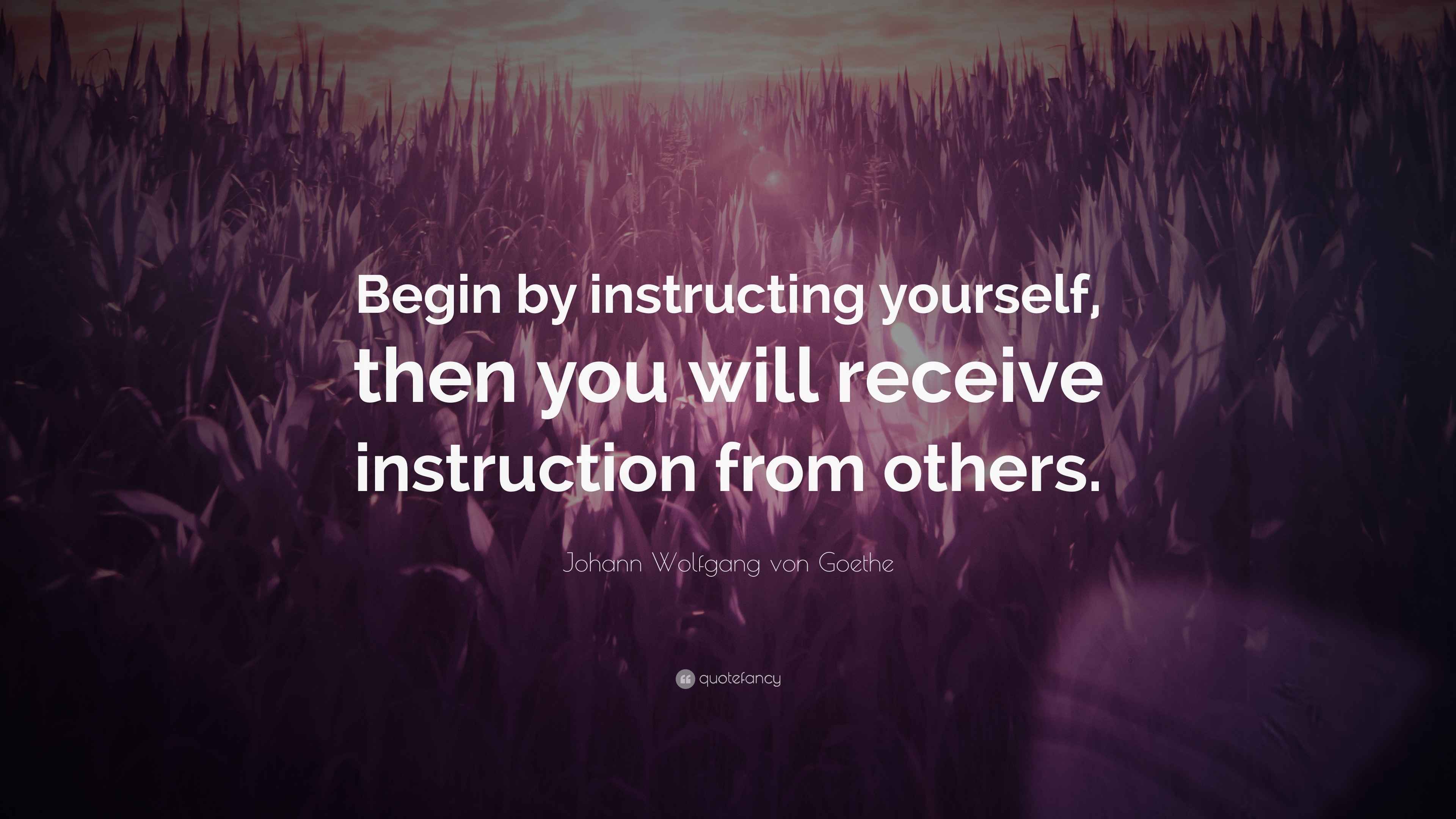 Johann Wolfgang von Goethe Quote: “Begin by instructing yourself, then ...