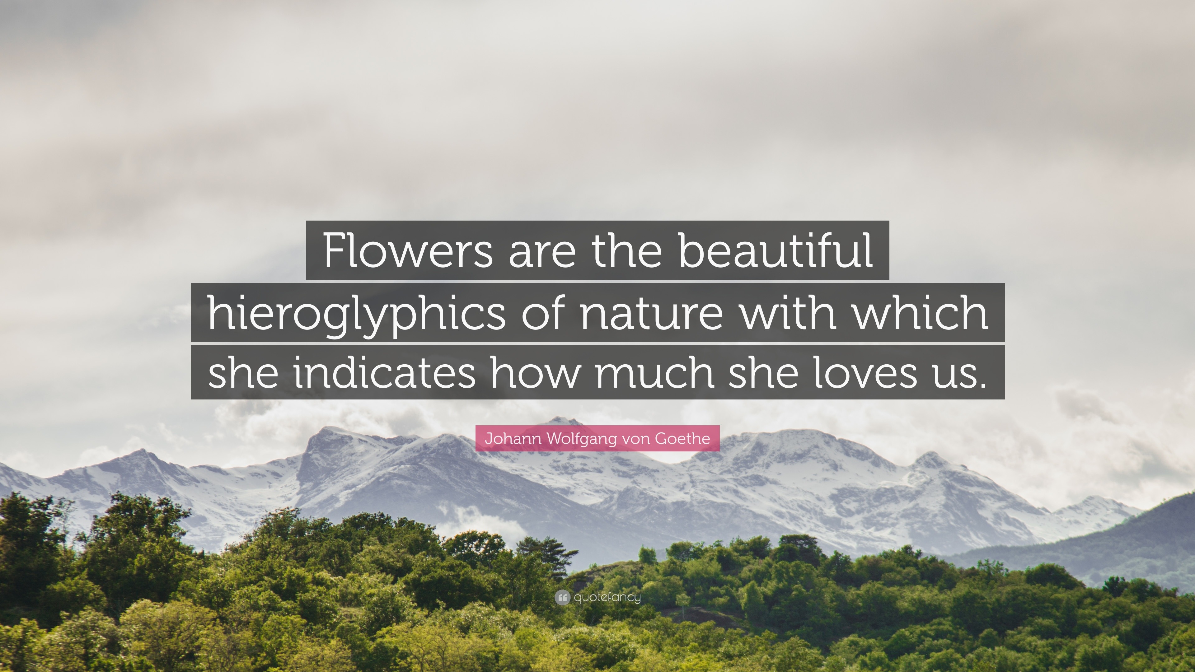 Johann Wolfgang von Goethe Quote: “Flowers are the beautiful ...