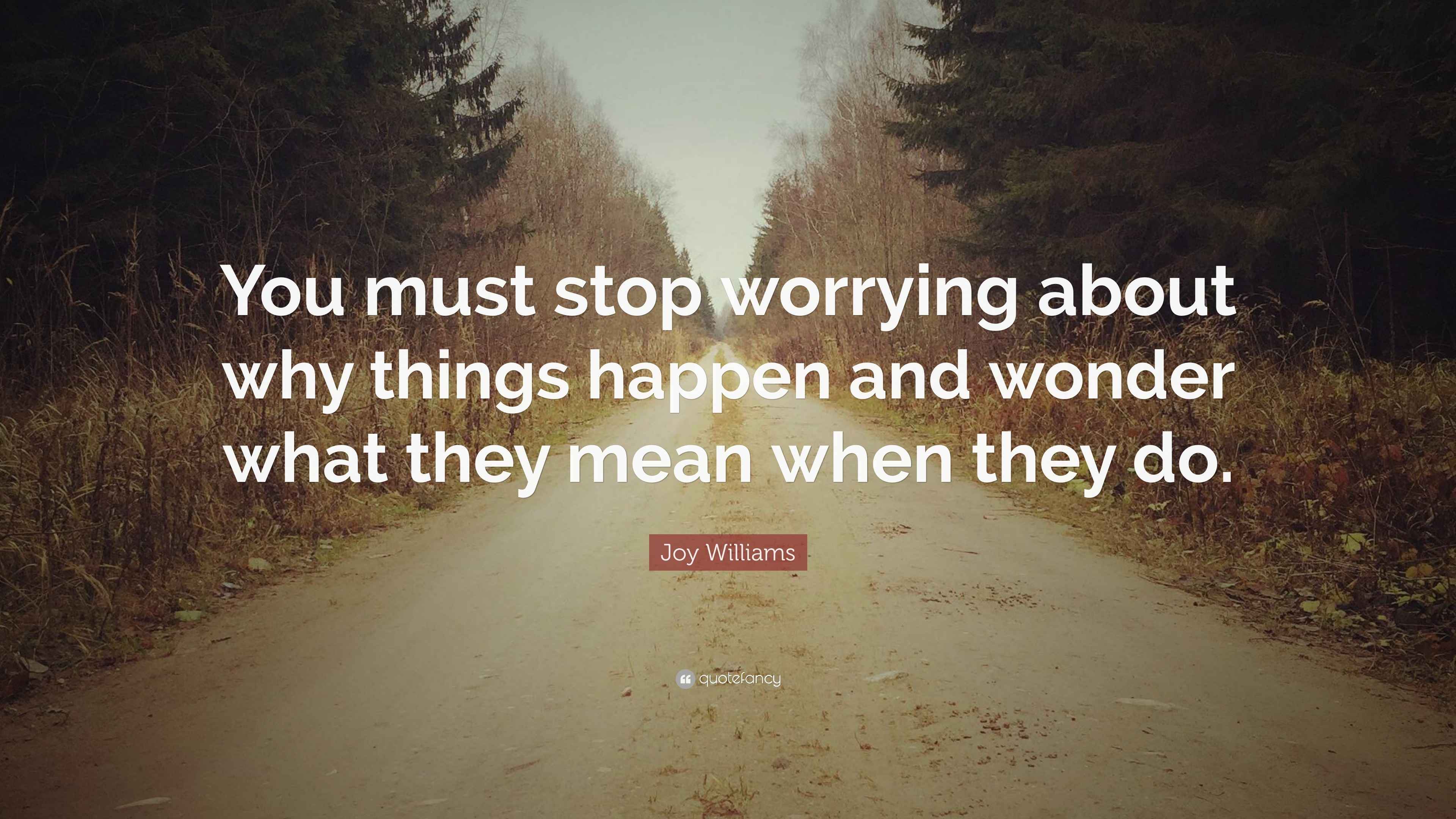 Joy Williams Quote: “You must stop worrying about why things happen and ...
