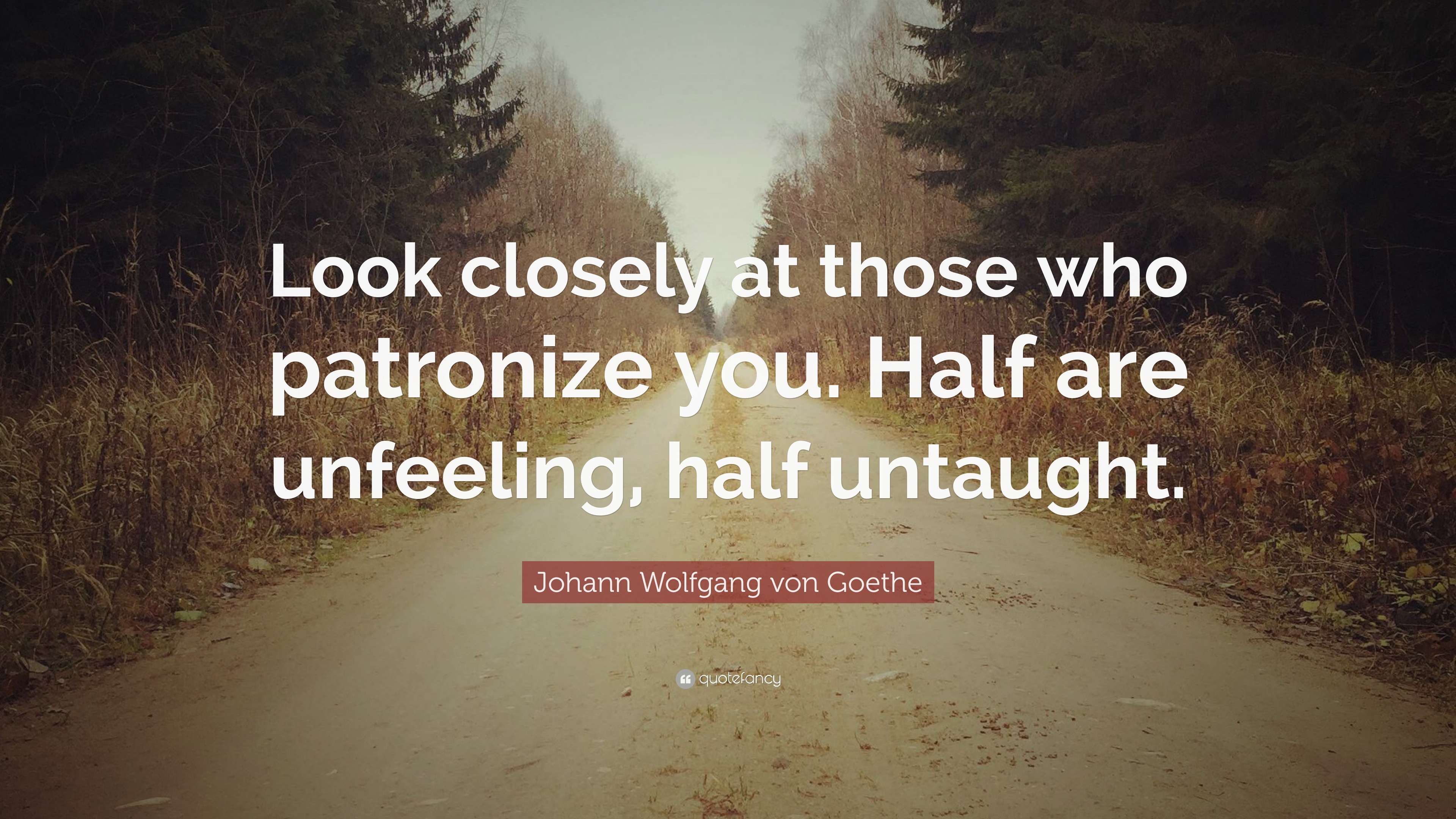 Johann Wolfgang von Goethe Quote: “Look closely at those who patronize ...