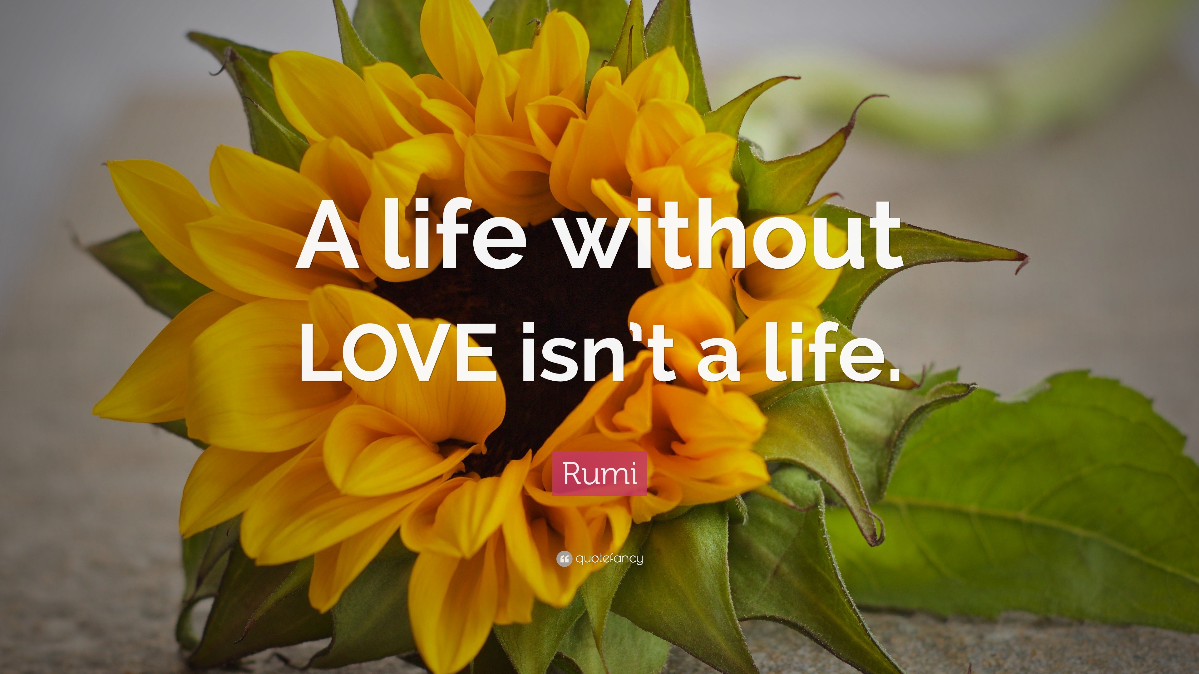 Rumi Quote: “A life without LOVE isn’t a life.”