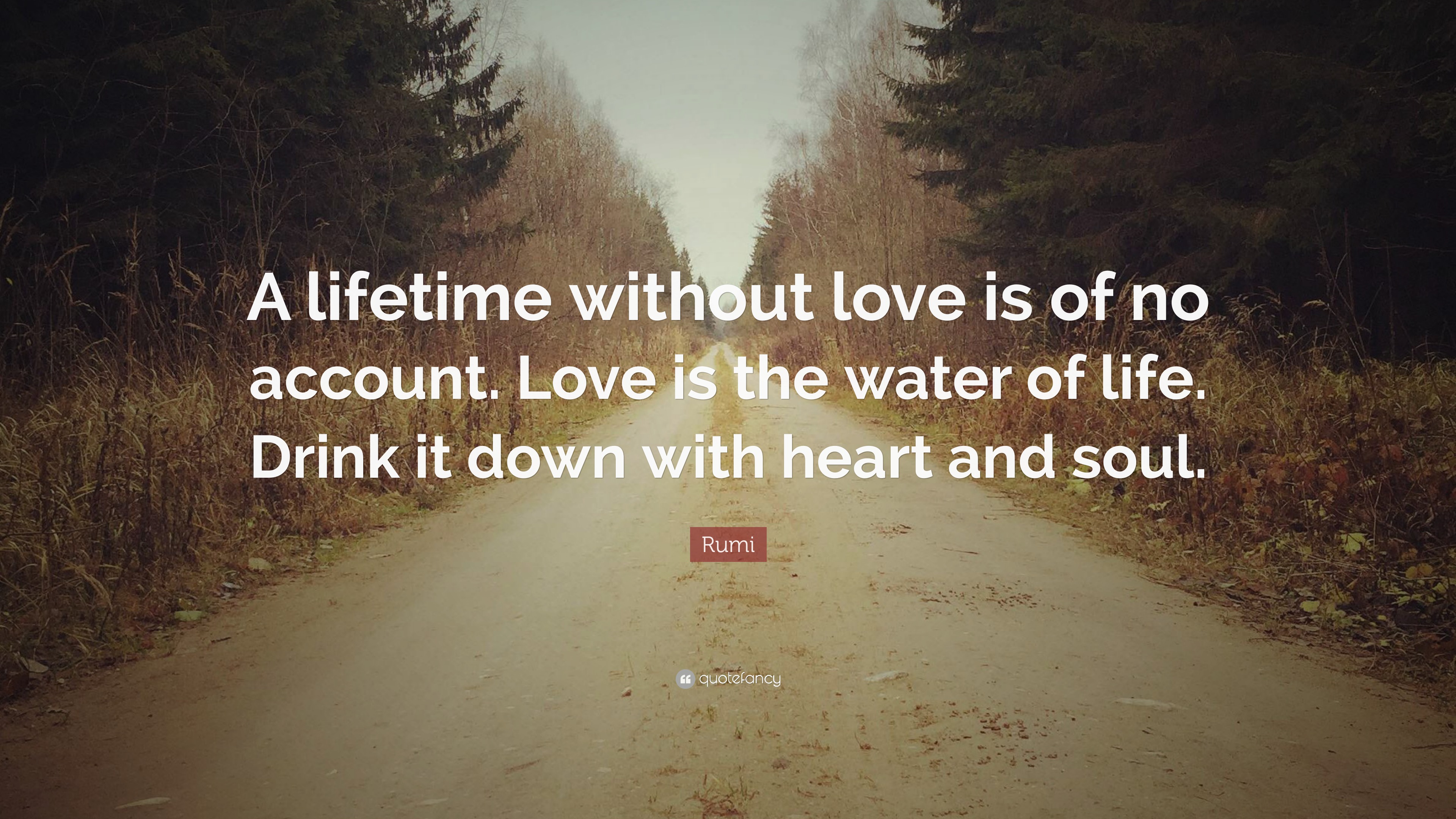 Rumi Quote: “A lifetime without love is of no account. Love is the ...