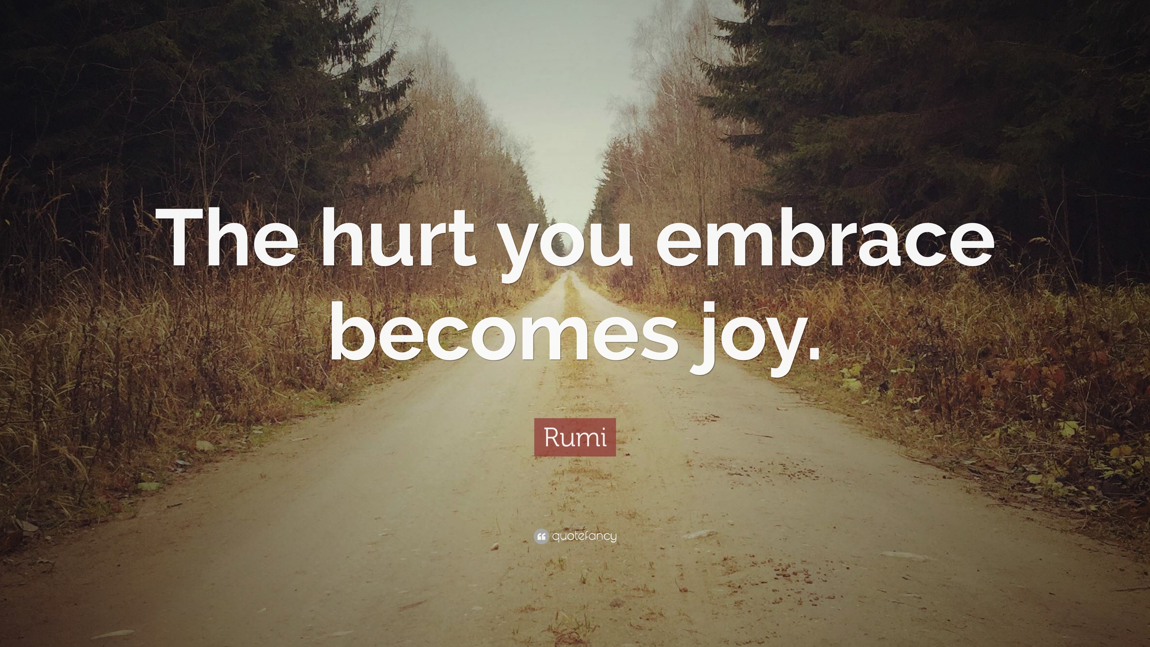 Rumi Quote: “The hurt you embrace becomes joy.”