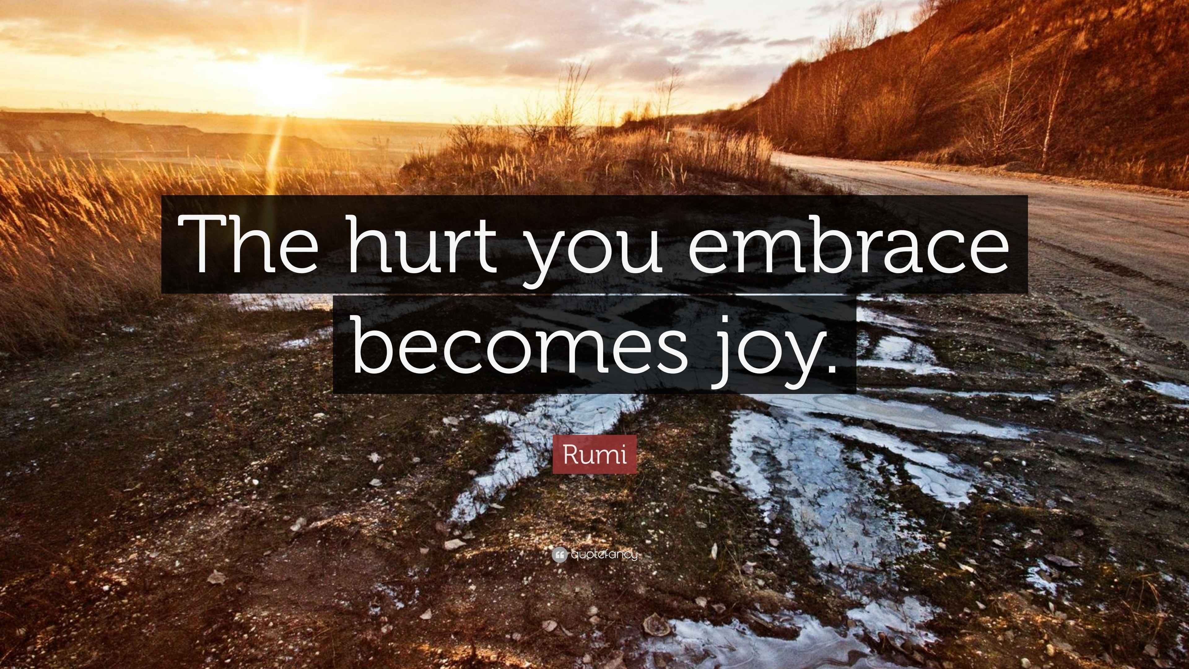 Rumi Quote: “The hurt you embrace becomes joy.”