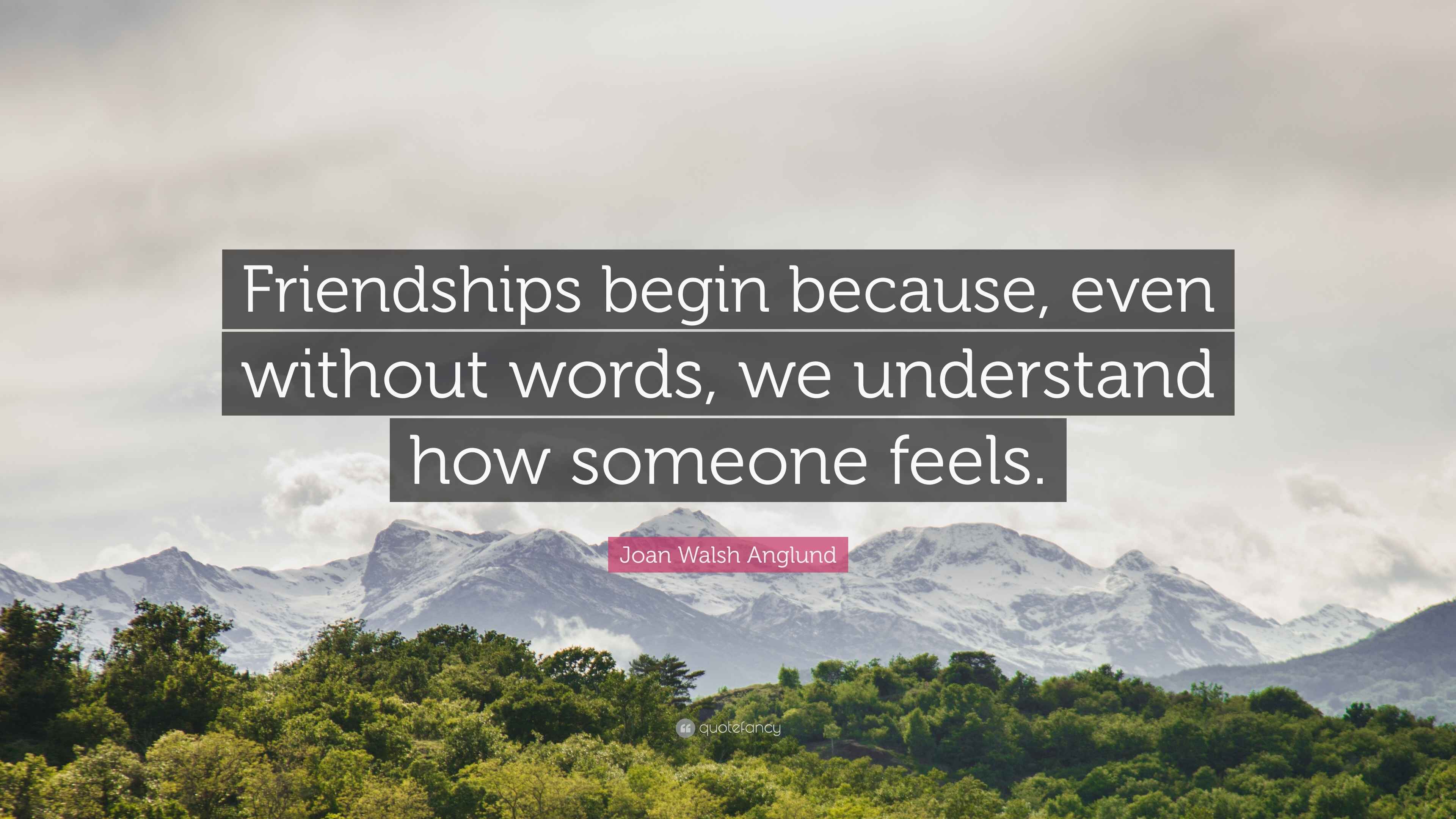 Joan Walsh Anglund Quote: “Friendships begin because, even without ...