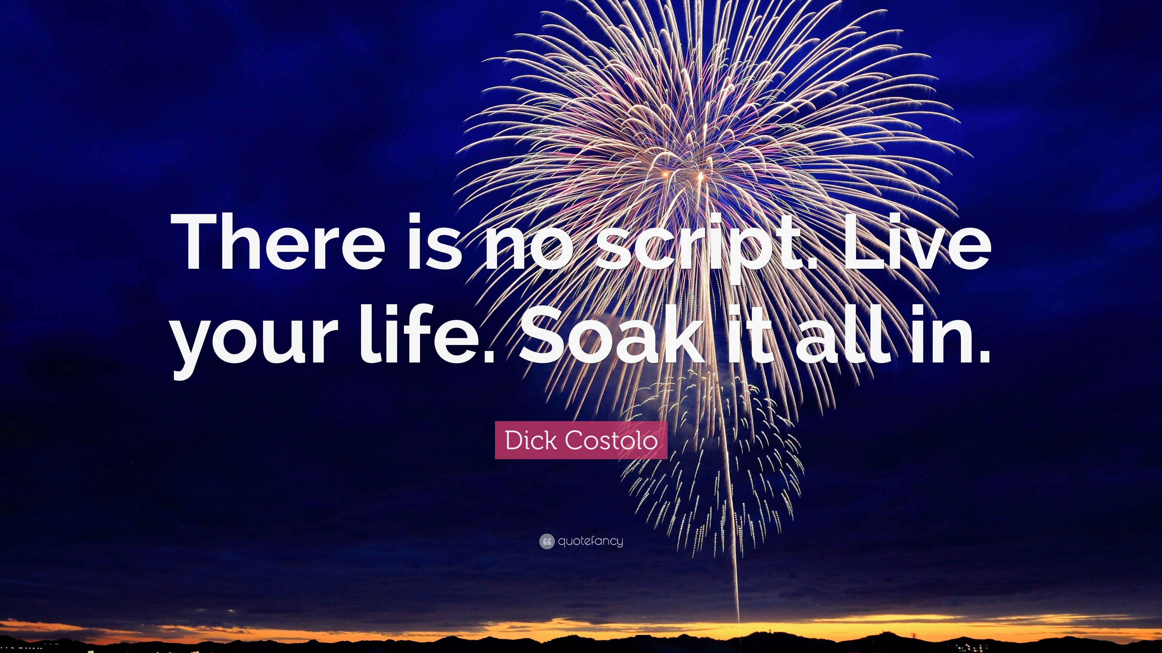 Dick Costolo Quote: “There is no script. Live your life. Soak it all in.”