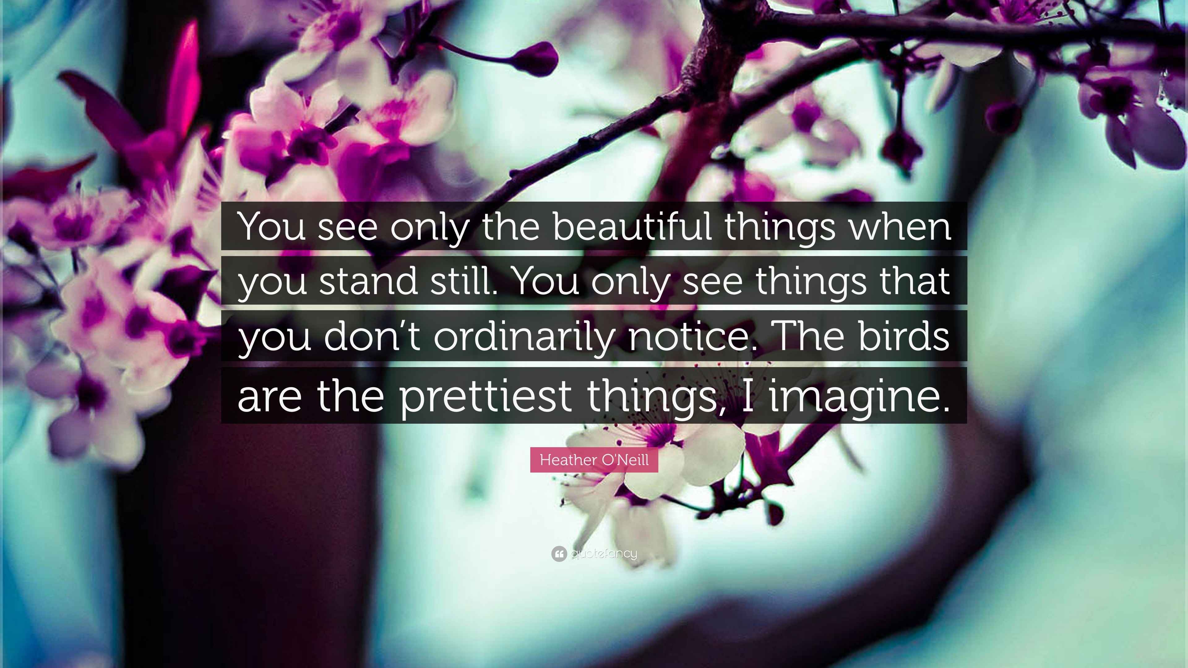 Heather O'Neill Quote: “You see only the beautiful things when you ...