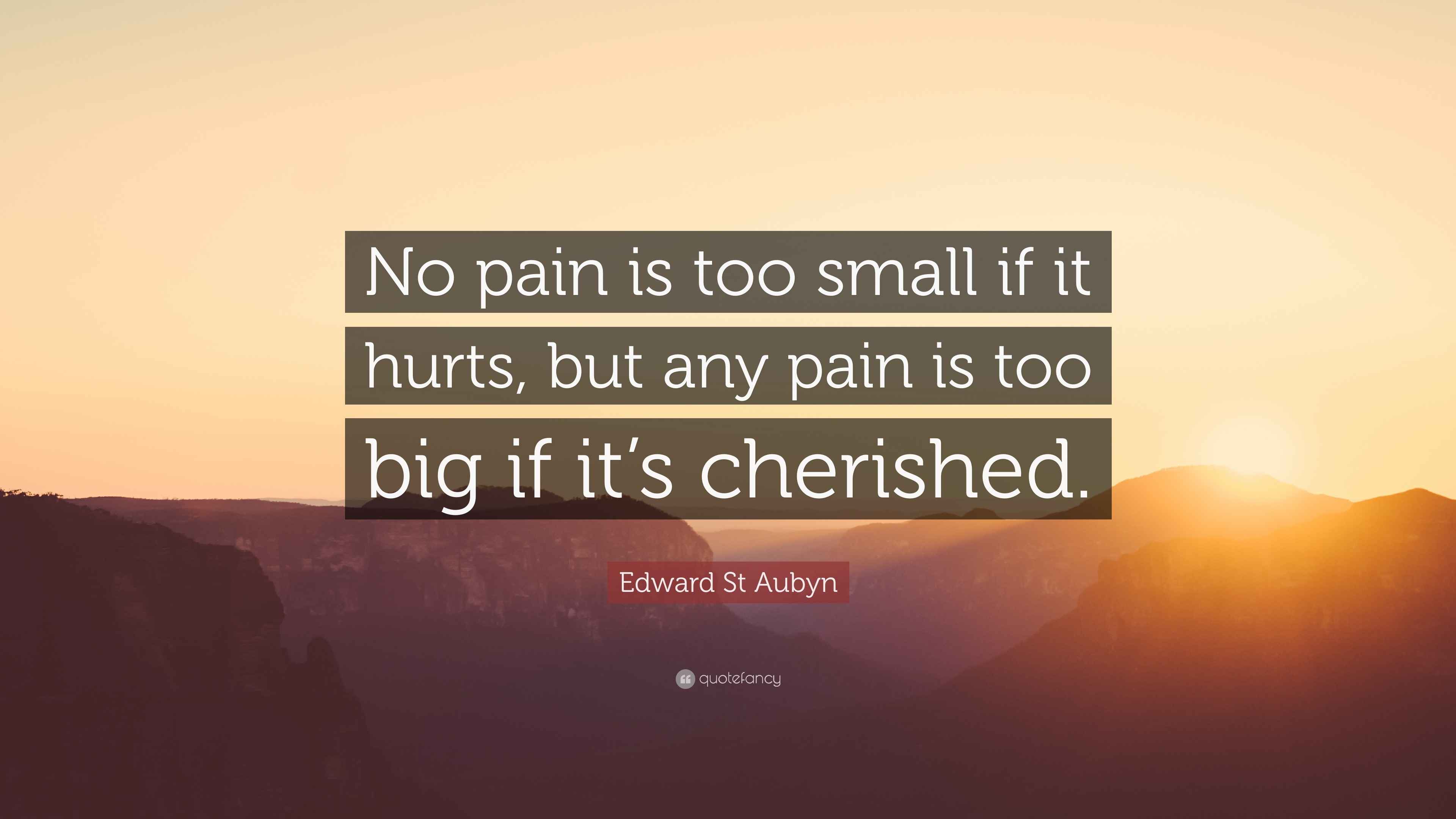 Edward St Aubyn Quote: “No pain is too small if it hurts, but any pain ...