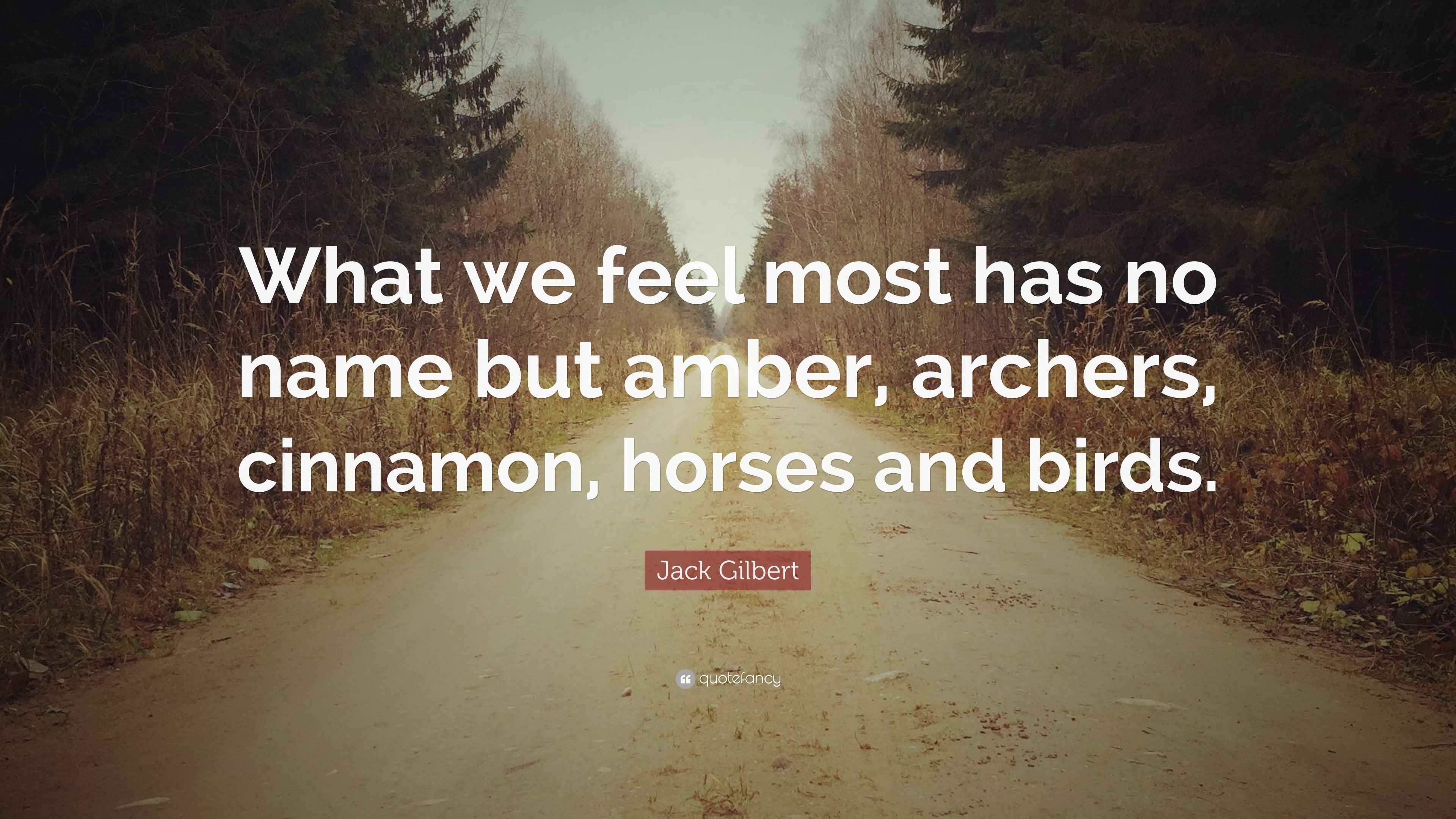 Jack Gilbert Quote: “What we feel most has no name but amber, archers ...