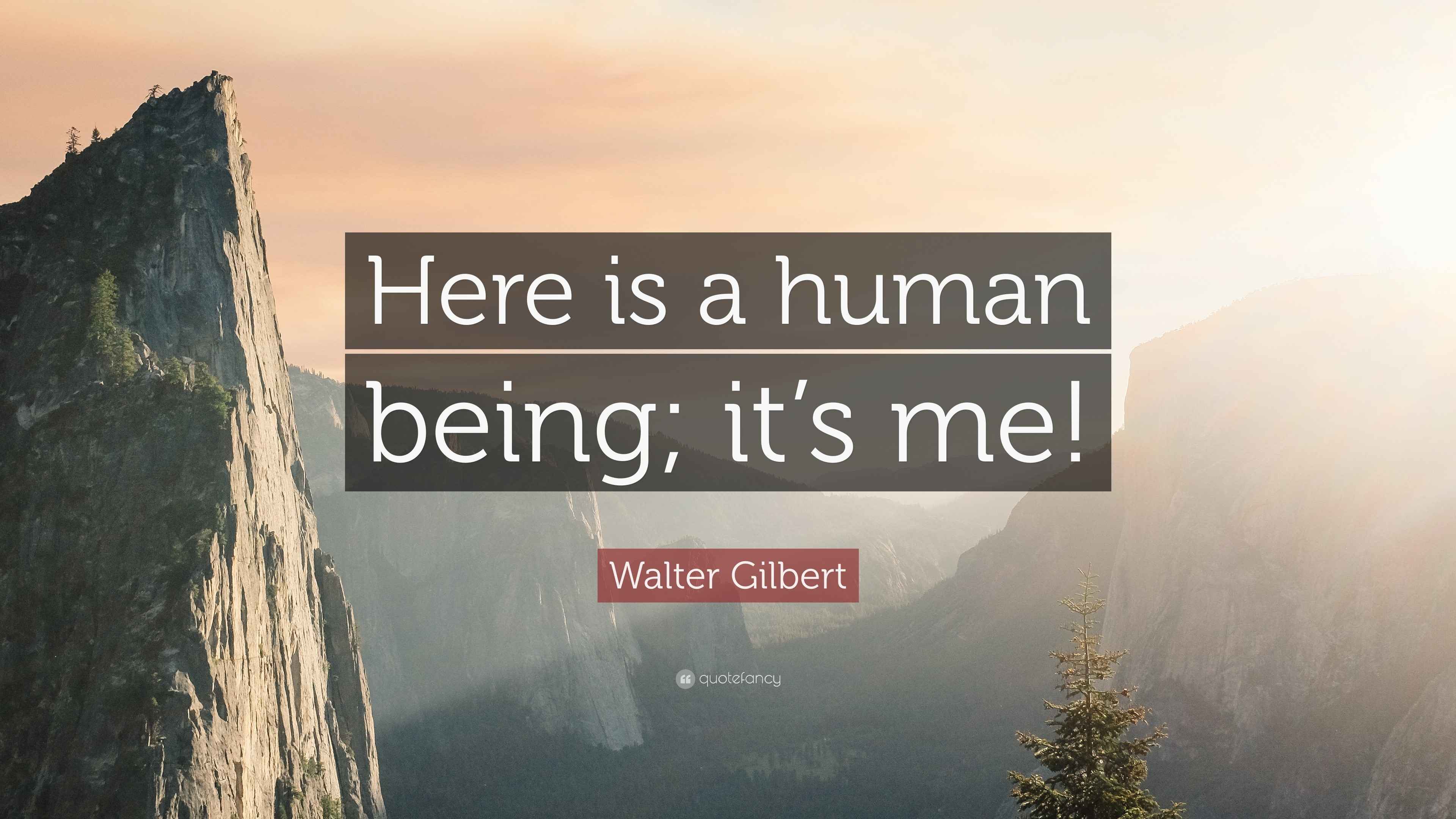 Walter Gilbert Quote: “Here is a human being; it’s me!”