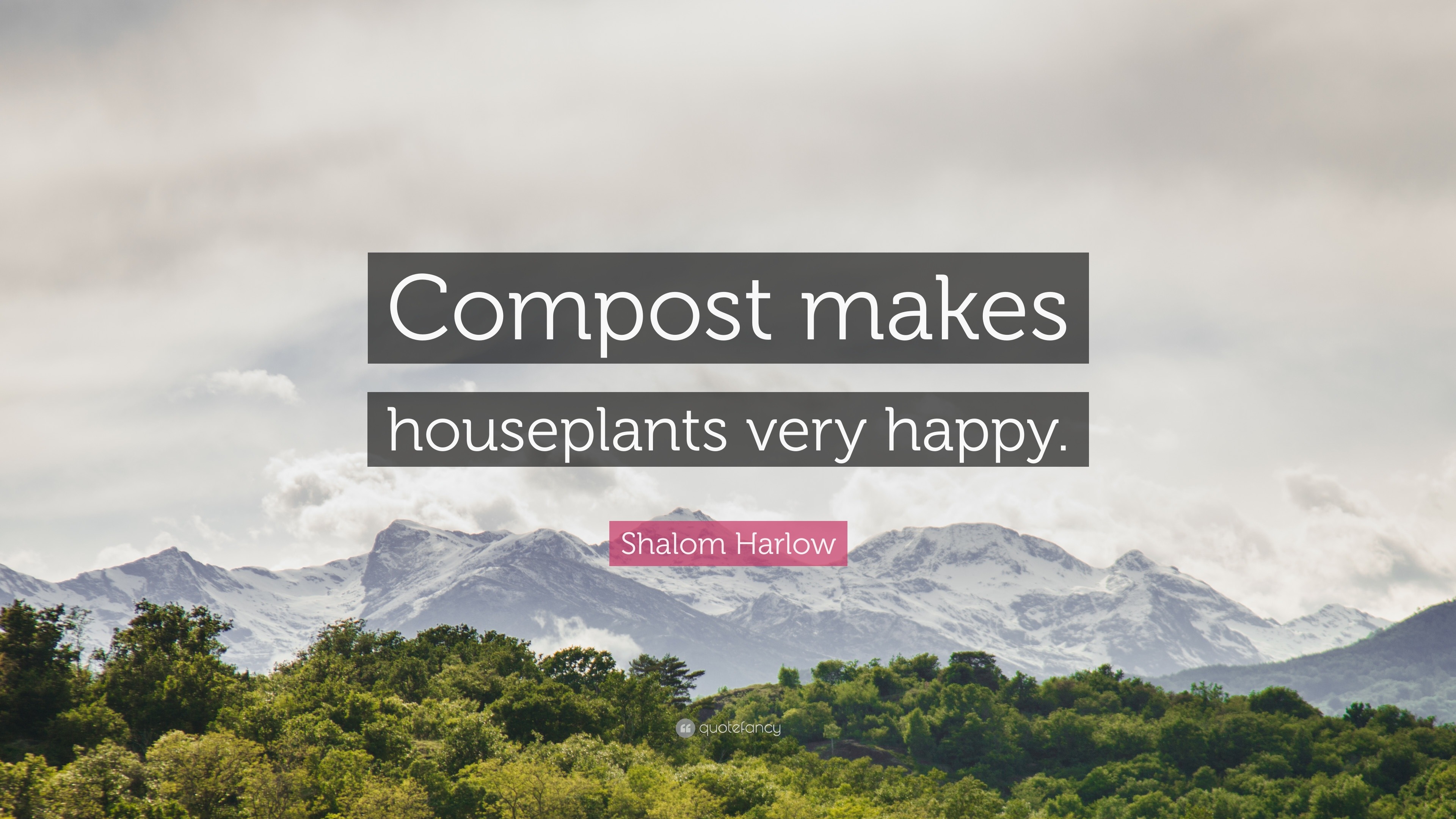 Shalom Harlow Quote: “Compost makes houseplants very happy.”