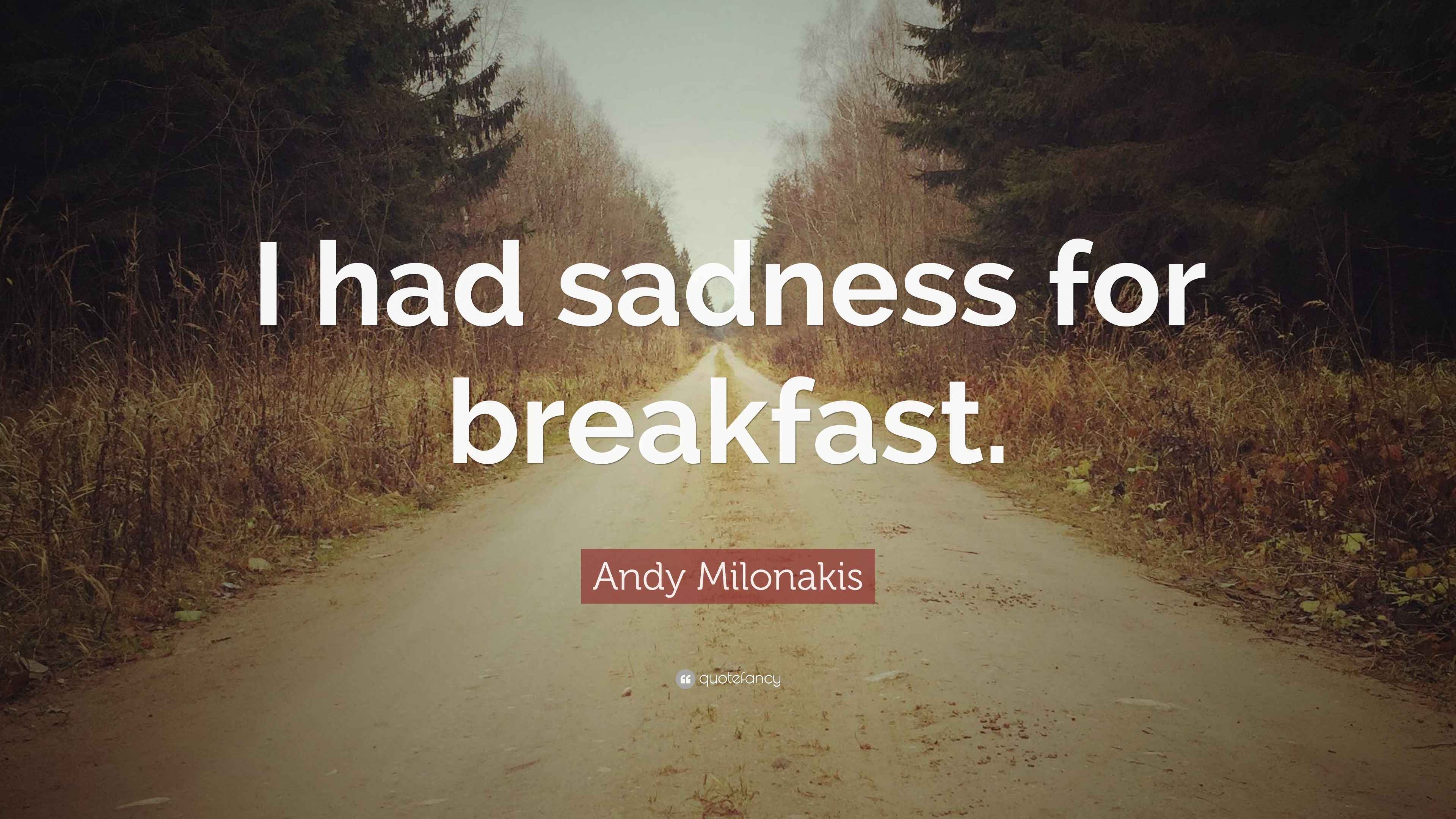 Andy Milonakis Quote: “I had sadness for breakfast.”