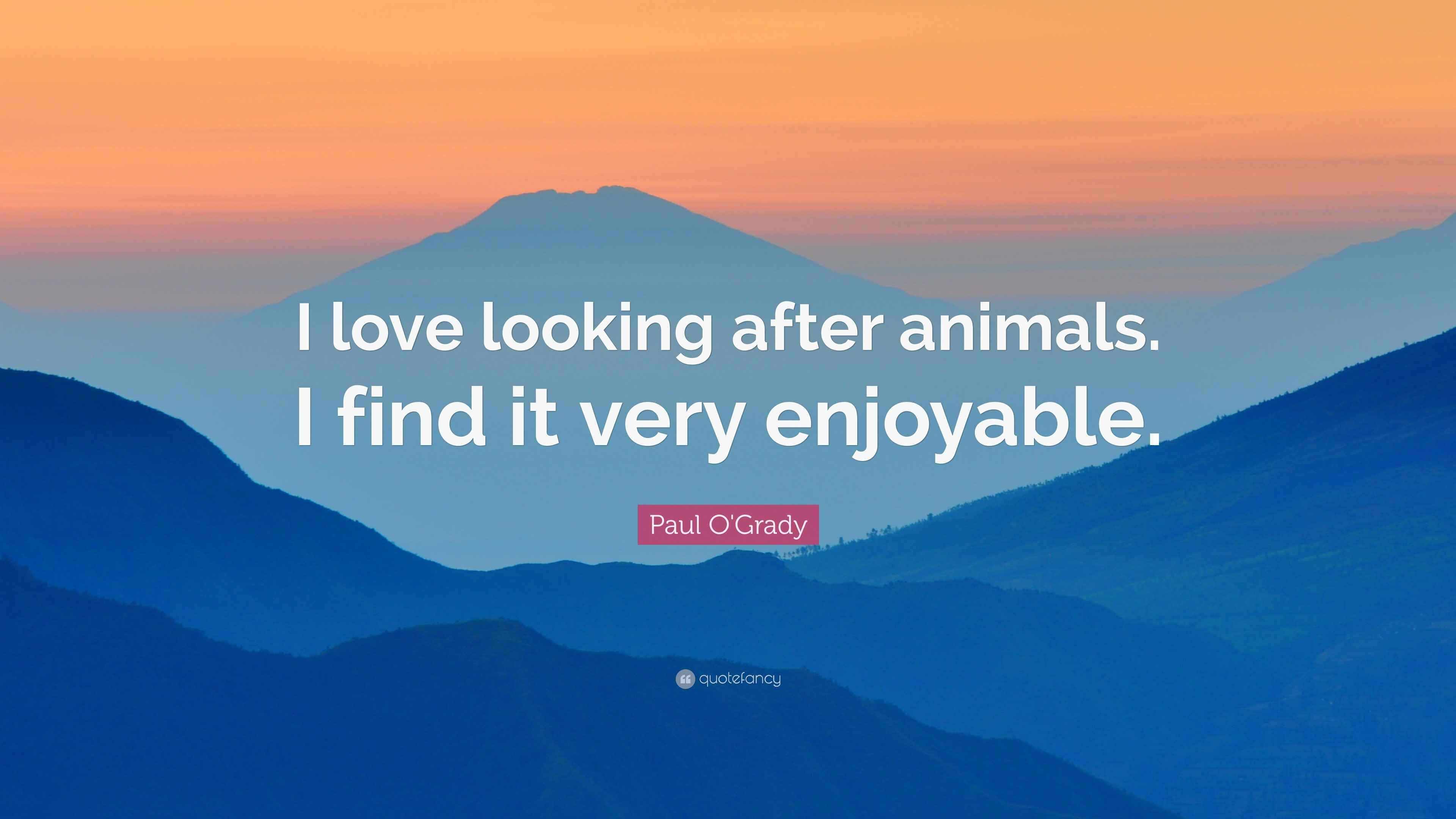 Paul O'Grady Quote: “I love looking after animals. I find it very ...