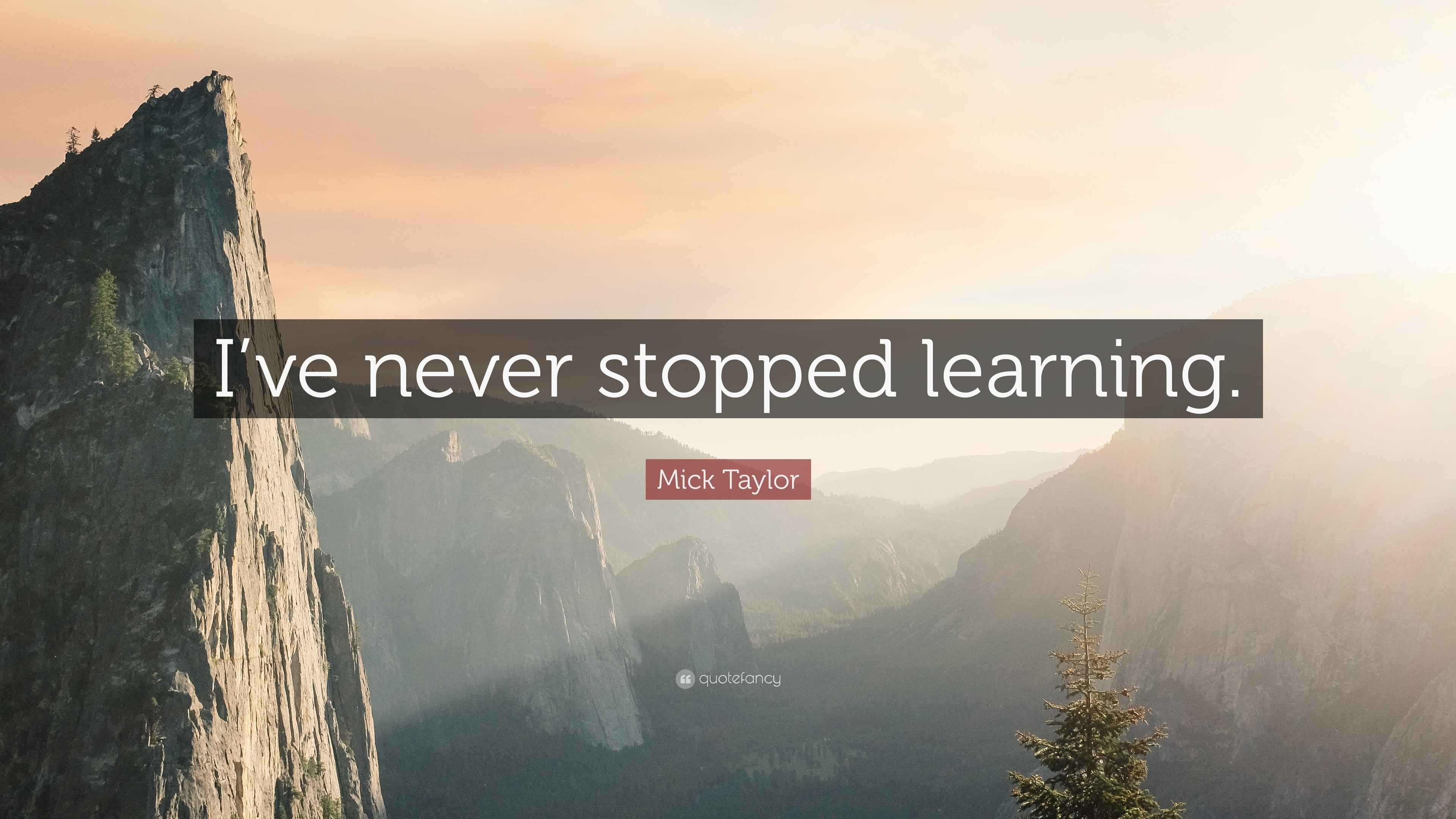 Mick Taylor Quote: “I’ve never stopped learning.”