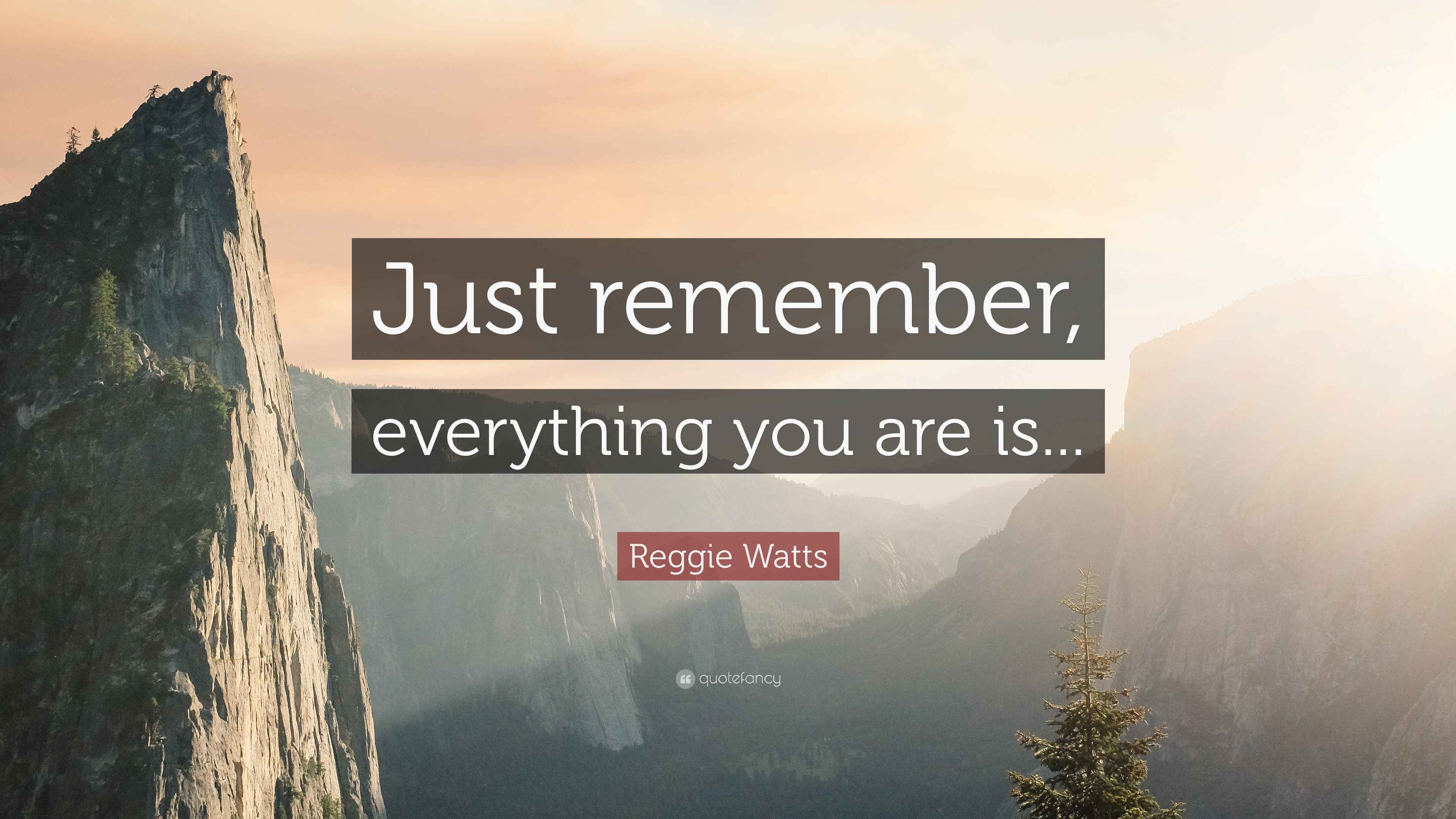 Reggie Watts Quote: “Just remember, everything you are is...”