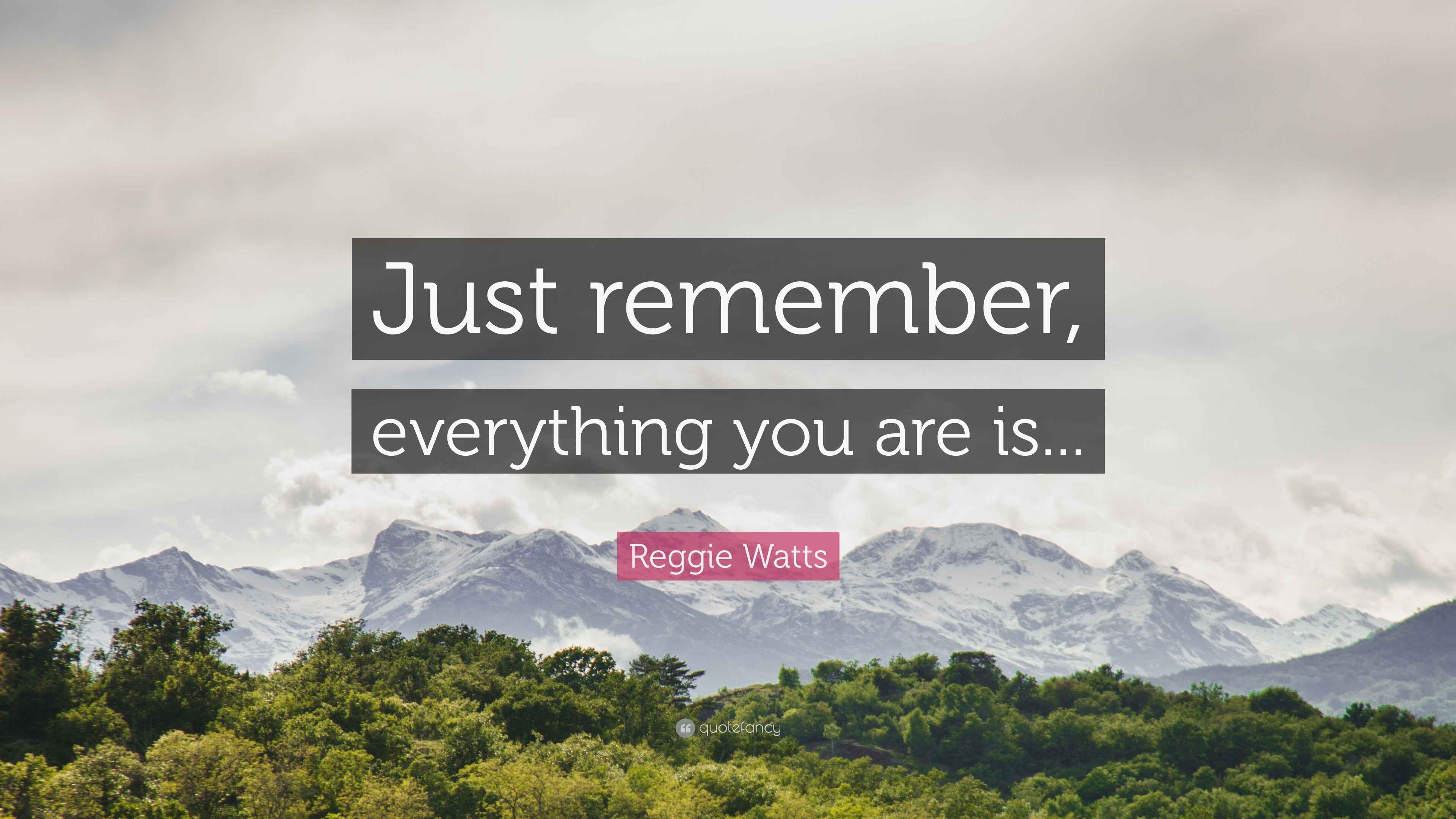 Reggie Watts Quote: “Just remember, everything you are is...”