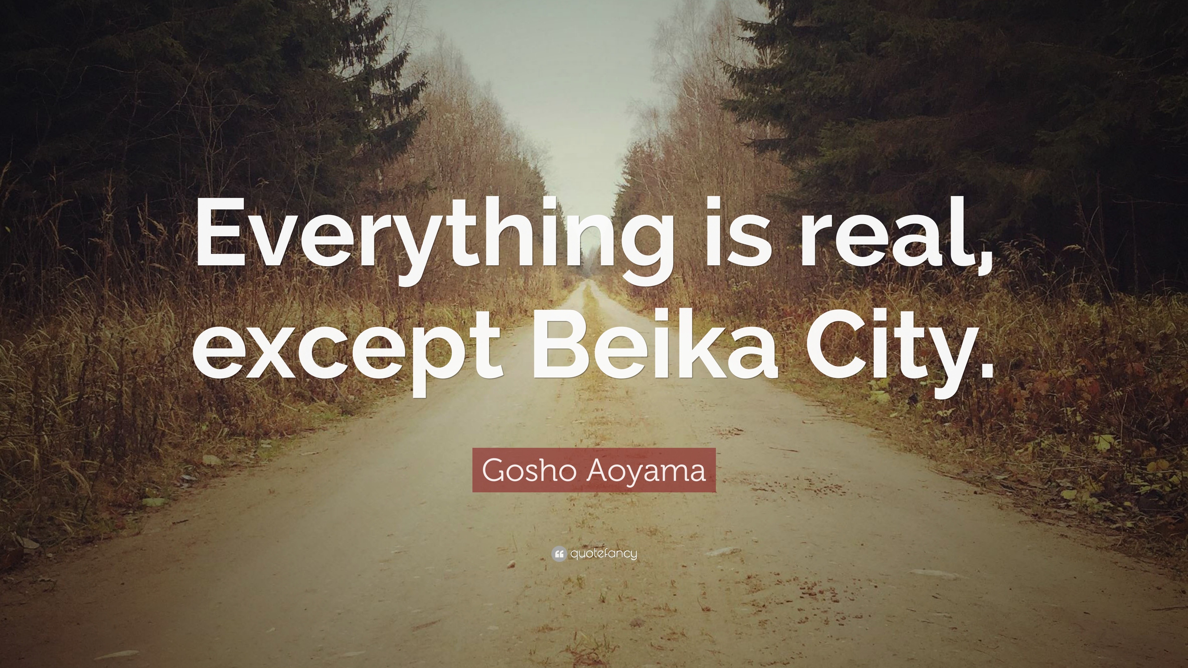 Gosho Aoyama Quote: “Everything is real, except Beika City.”