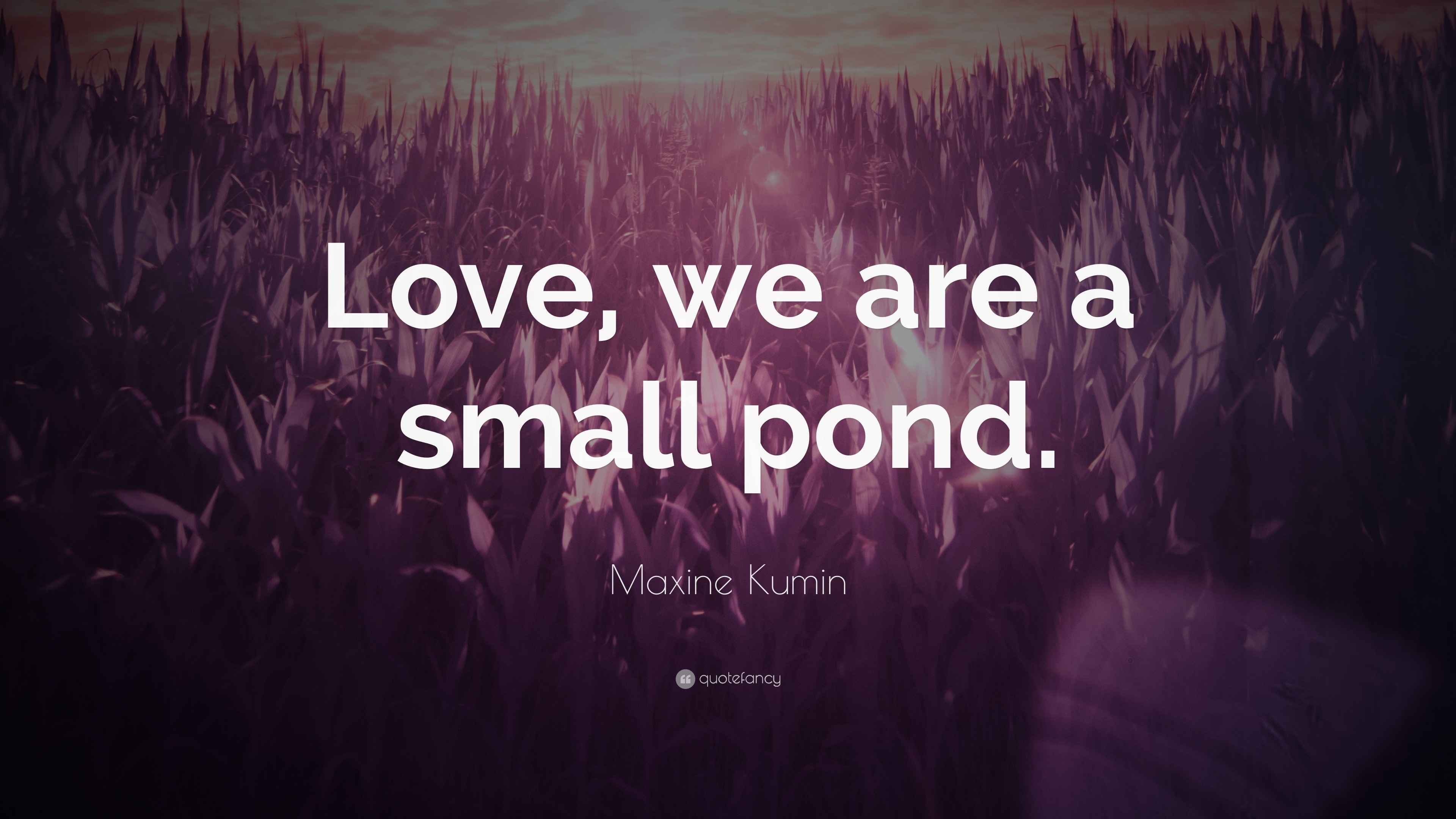 Maxine Kumin Quote: “Love, we are a small pond.”