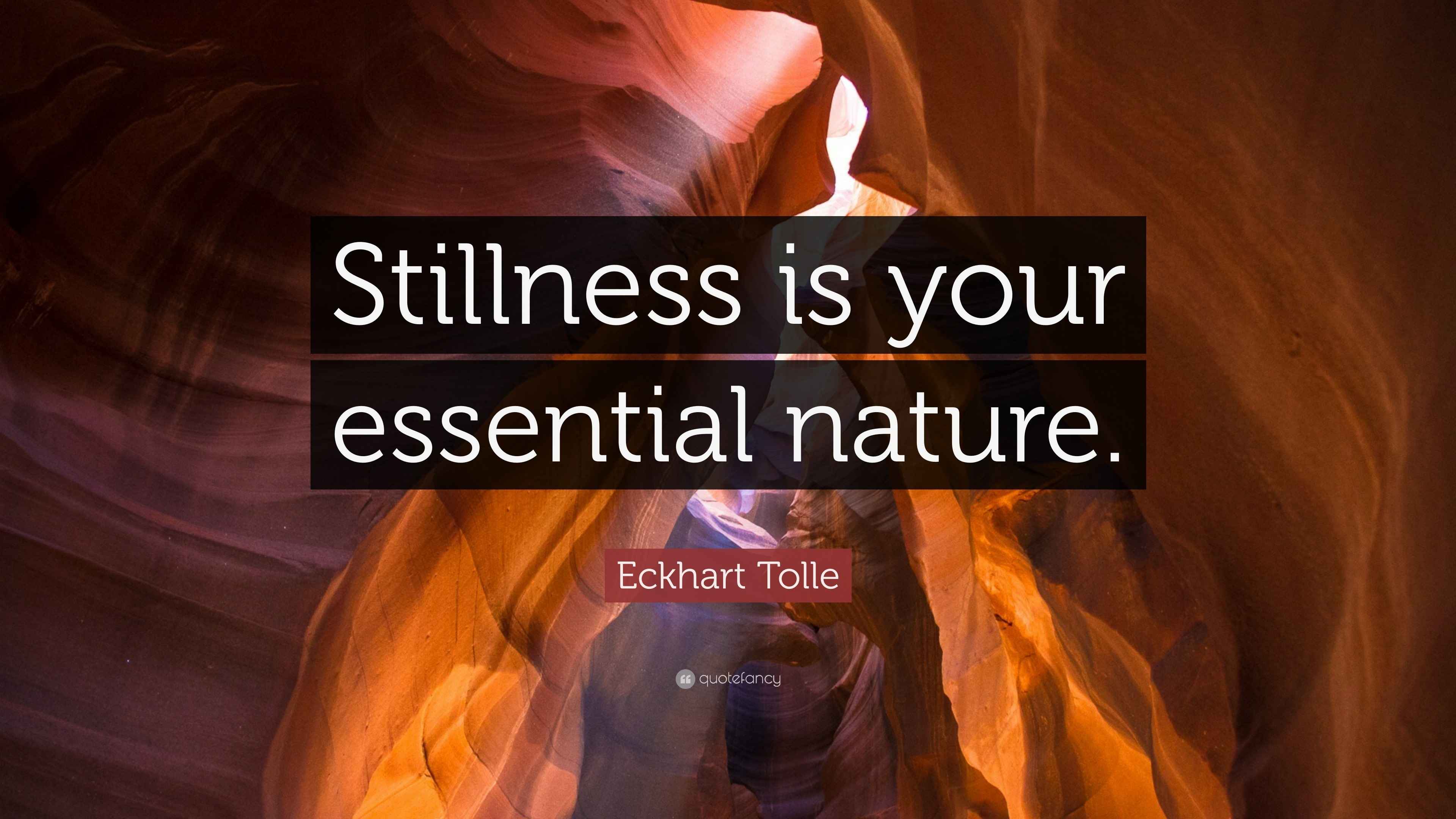 Eckhart Tolle Quote: “Stillness is your essential nature.”