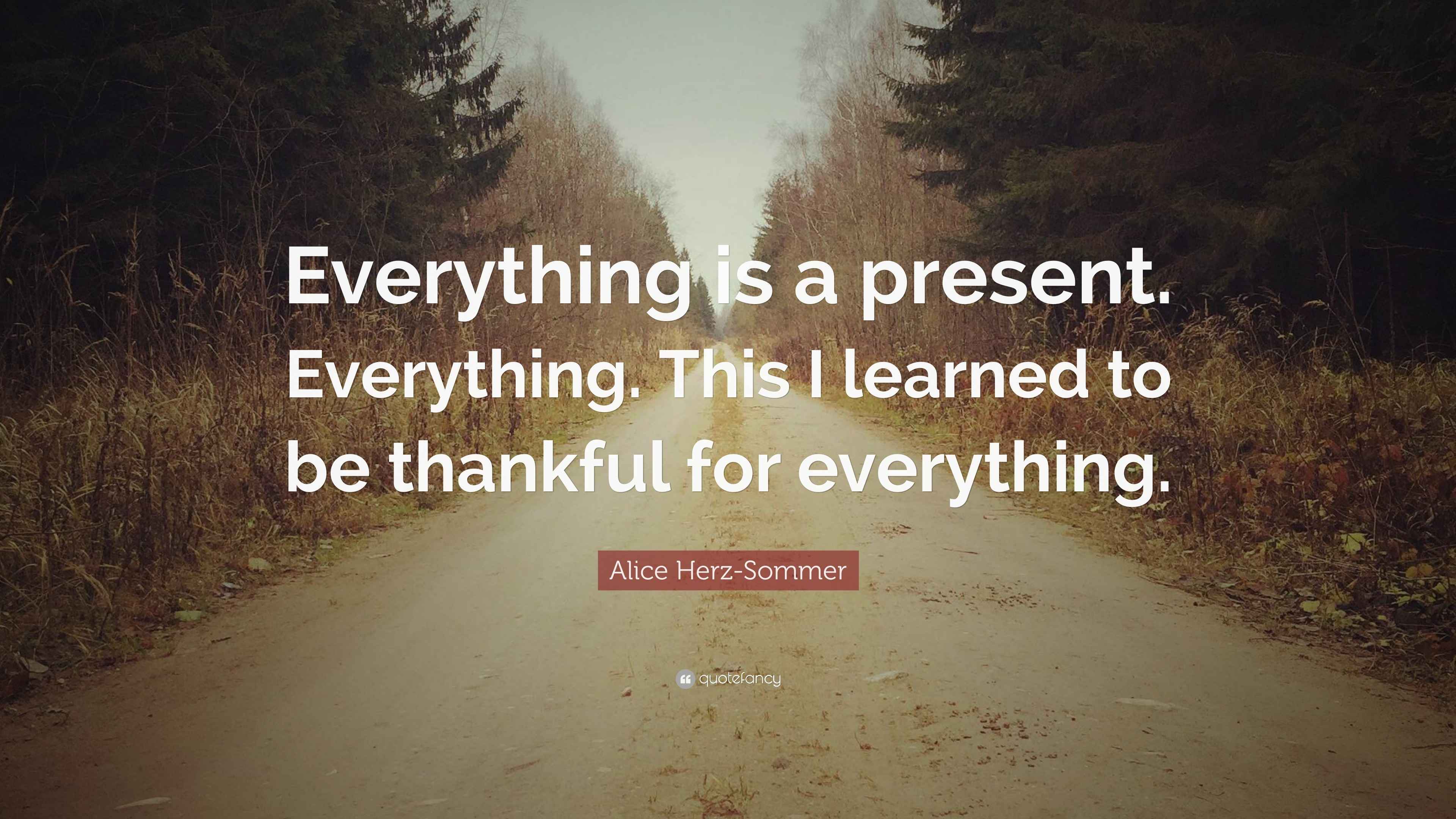 Alice Herz-Sommer Quote: “Everything is a present. Everything. This I ...