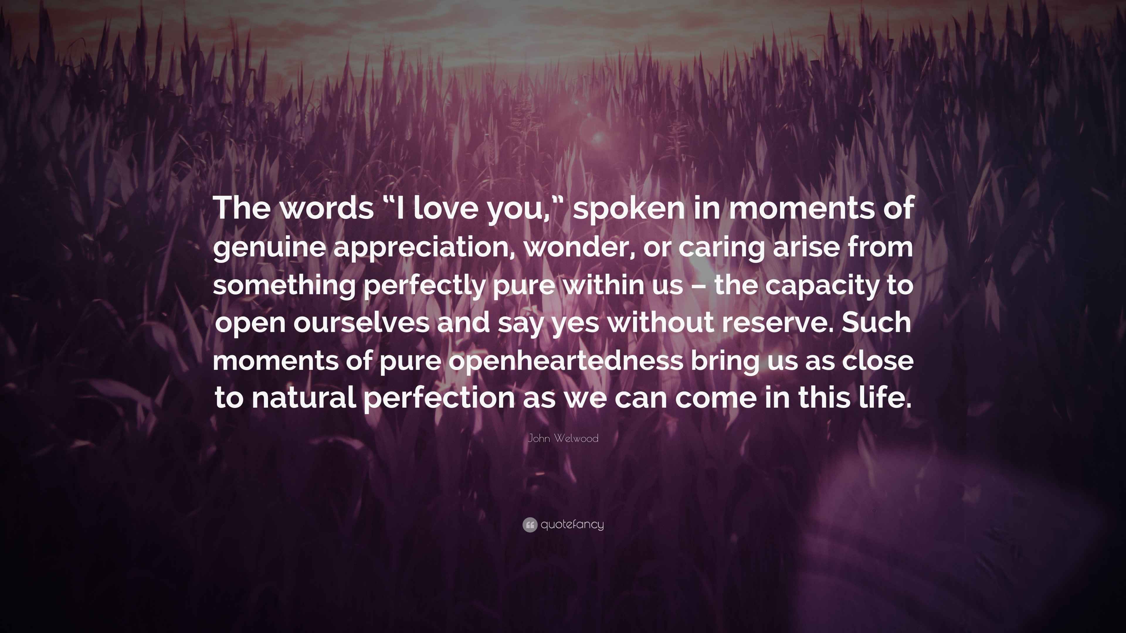 John Welwood Quote: “The words “I love you,” spoken in moments of ...