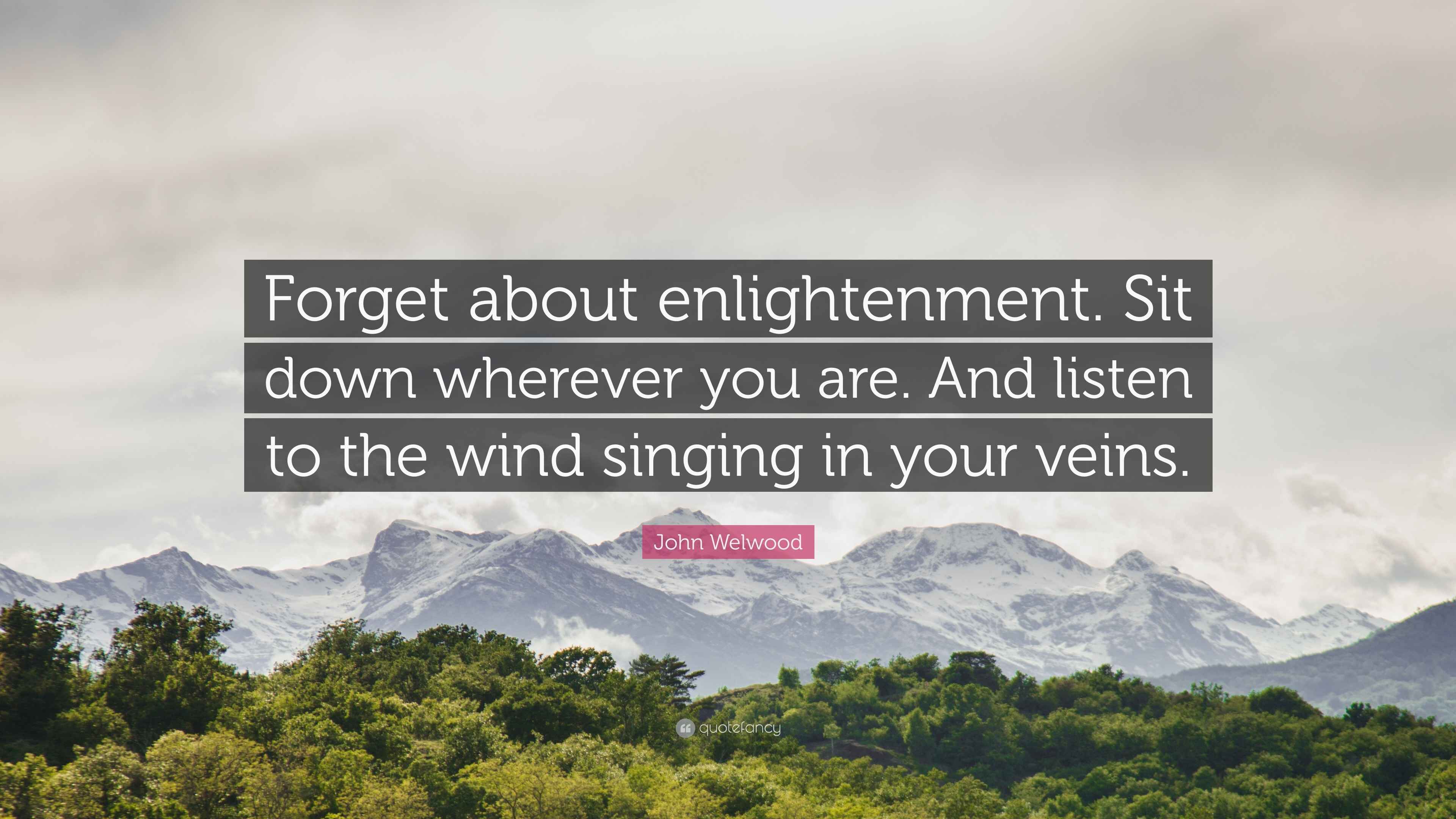 John Welwood Quote: “Forget about enlightenment. Sit down wherever you ...
