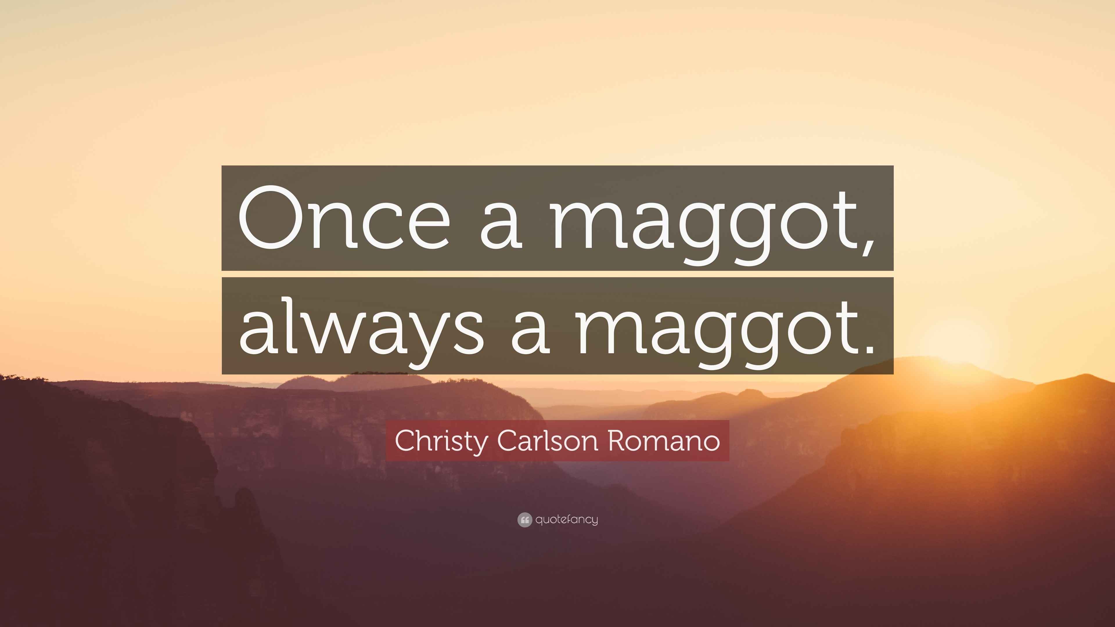 Christy Carlson Romano Quote: “Once a maggot, always a maggot.”