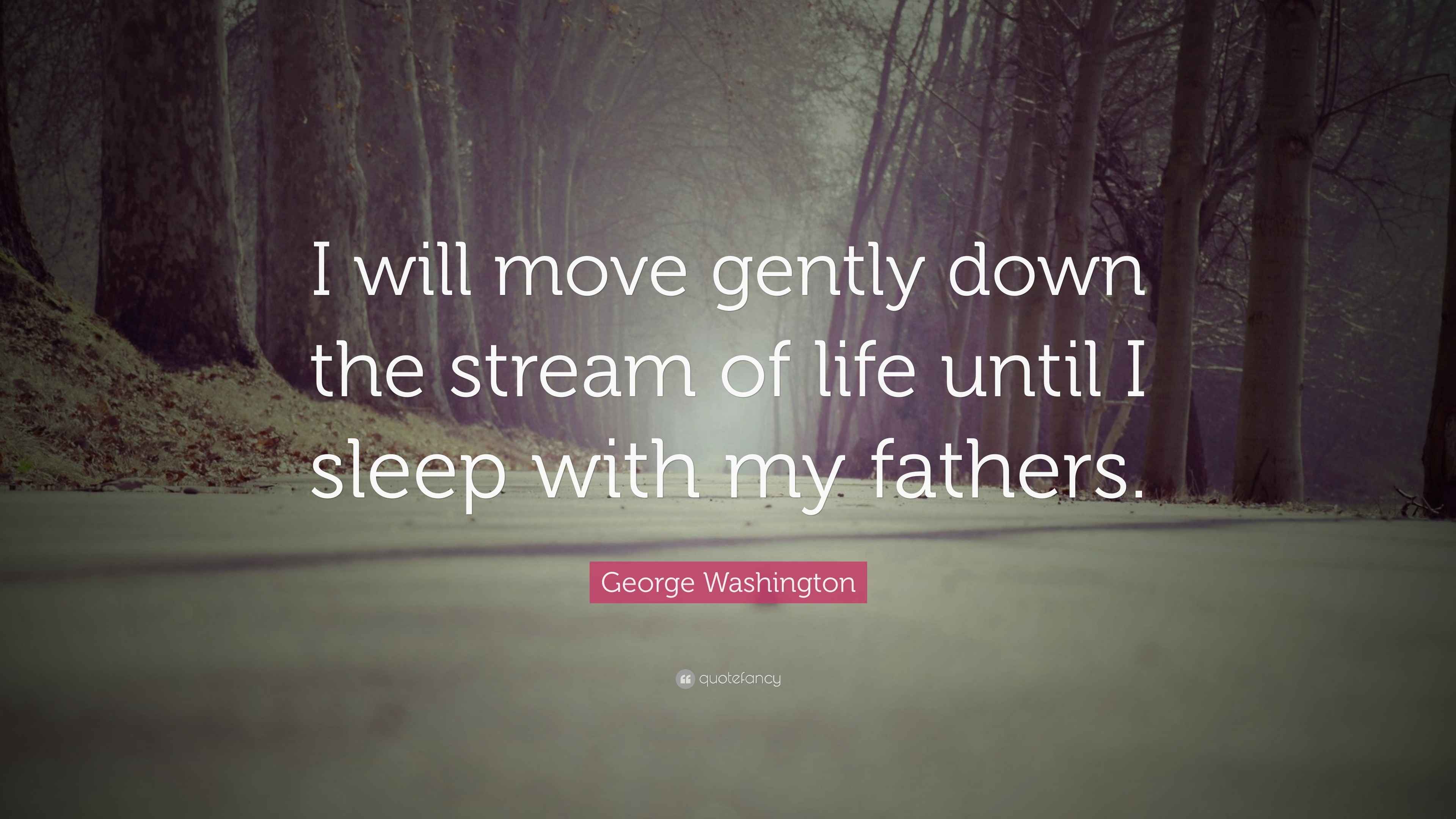 George Washington Quote: “I will move gently down the stream of life ...