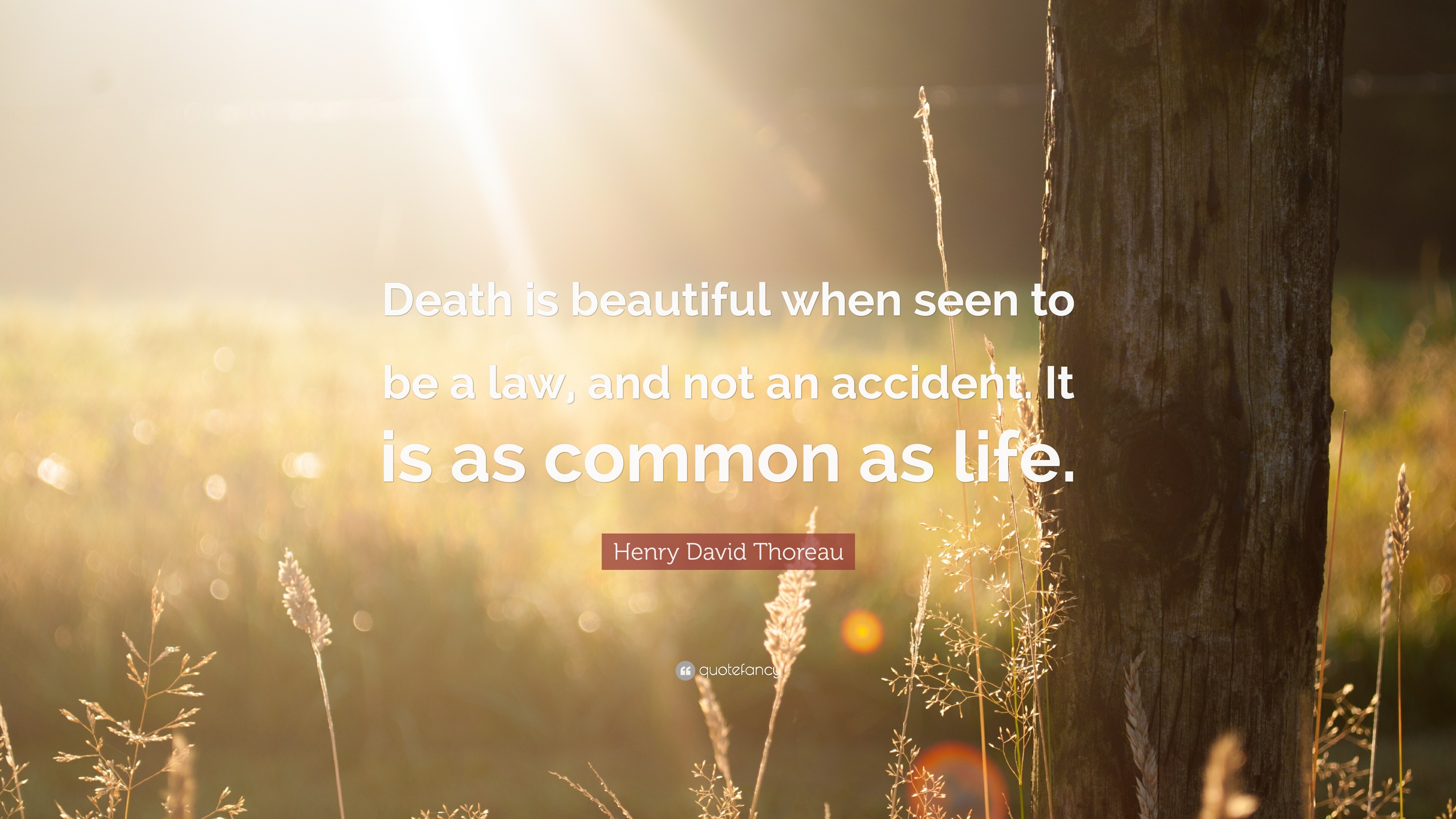 Henry David Thoreau Quote: “Death is beautiful when seen to be a law ...