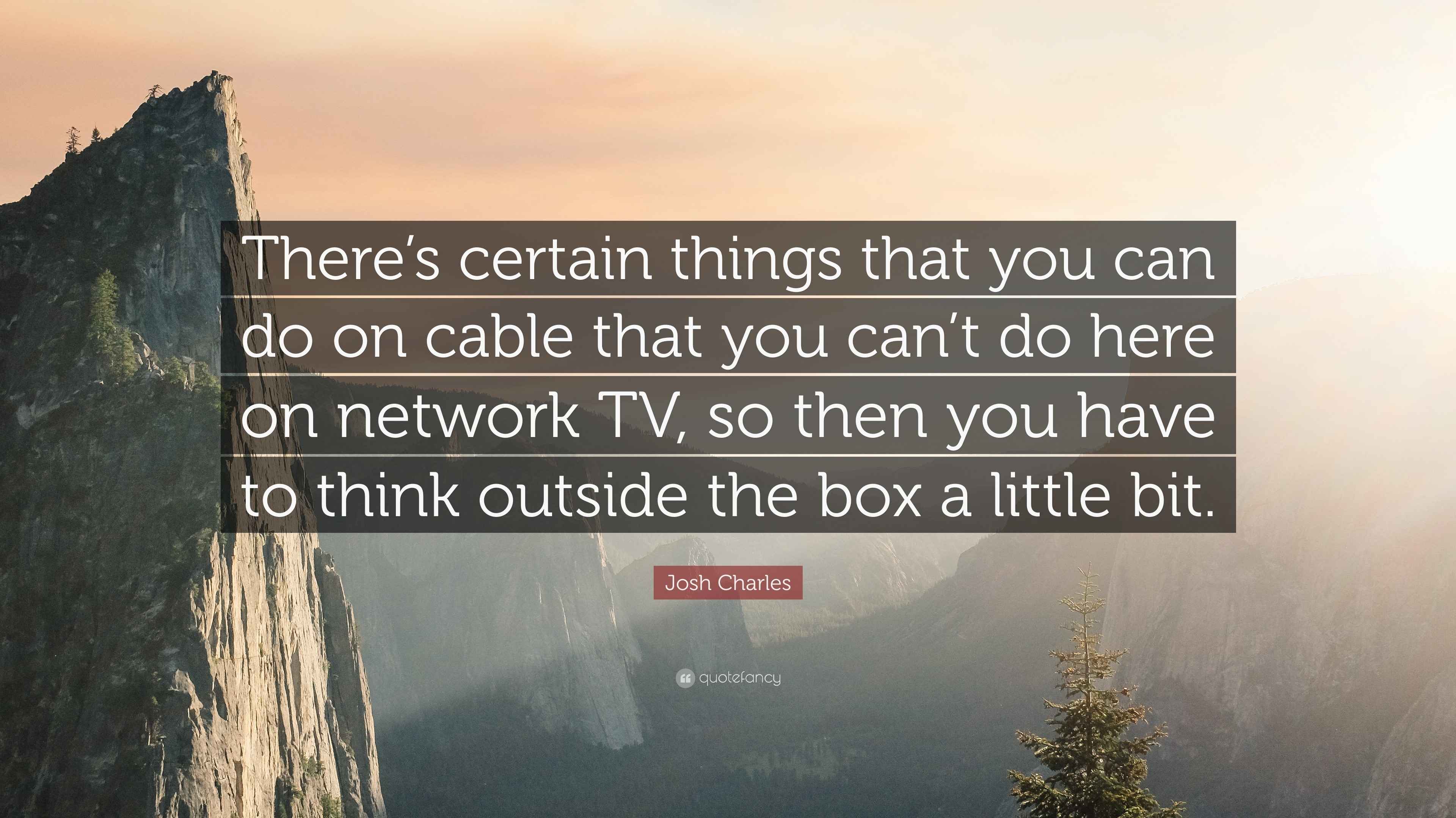 Josh Charles Quote: “There’s certain things that you can do on cable ...