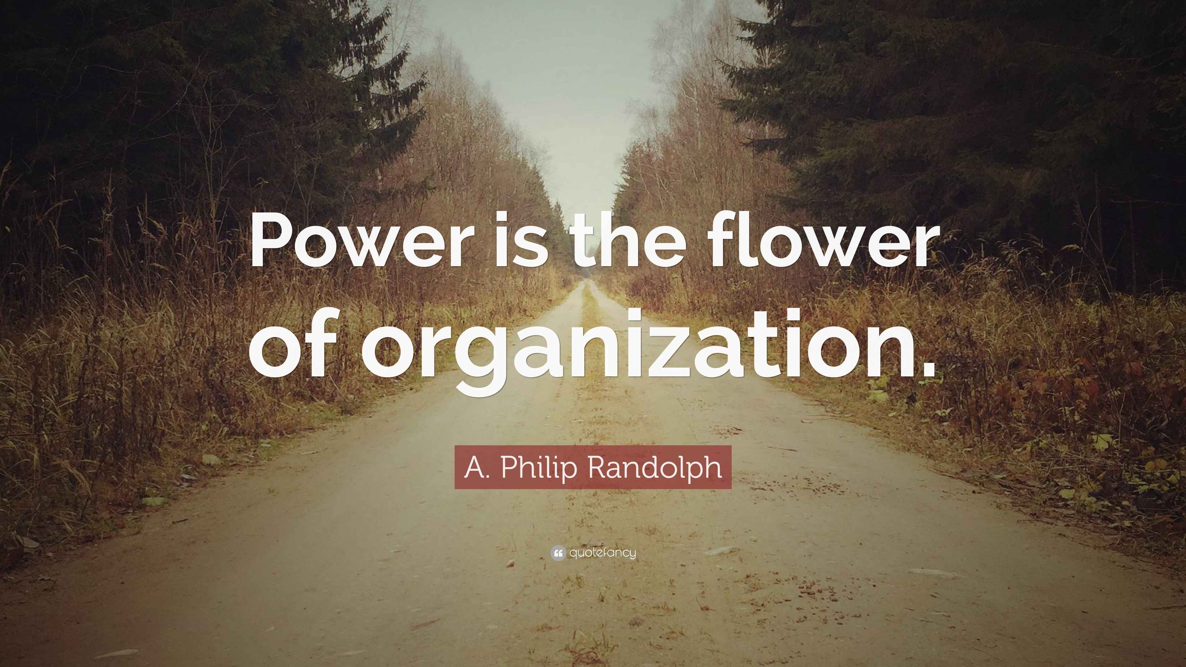 A. Philip Randolph Quote: “Power is the flower of organization.”