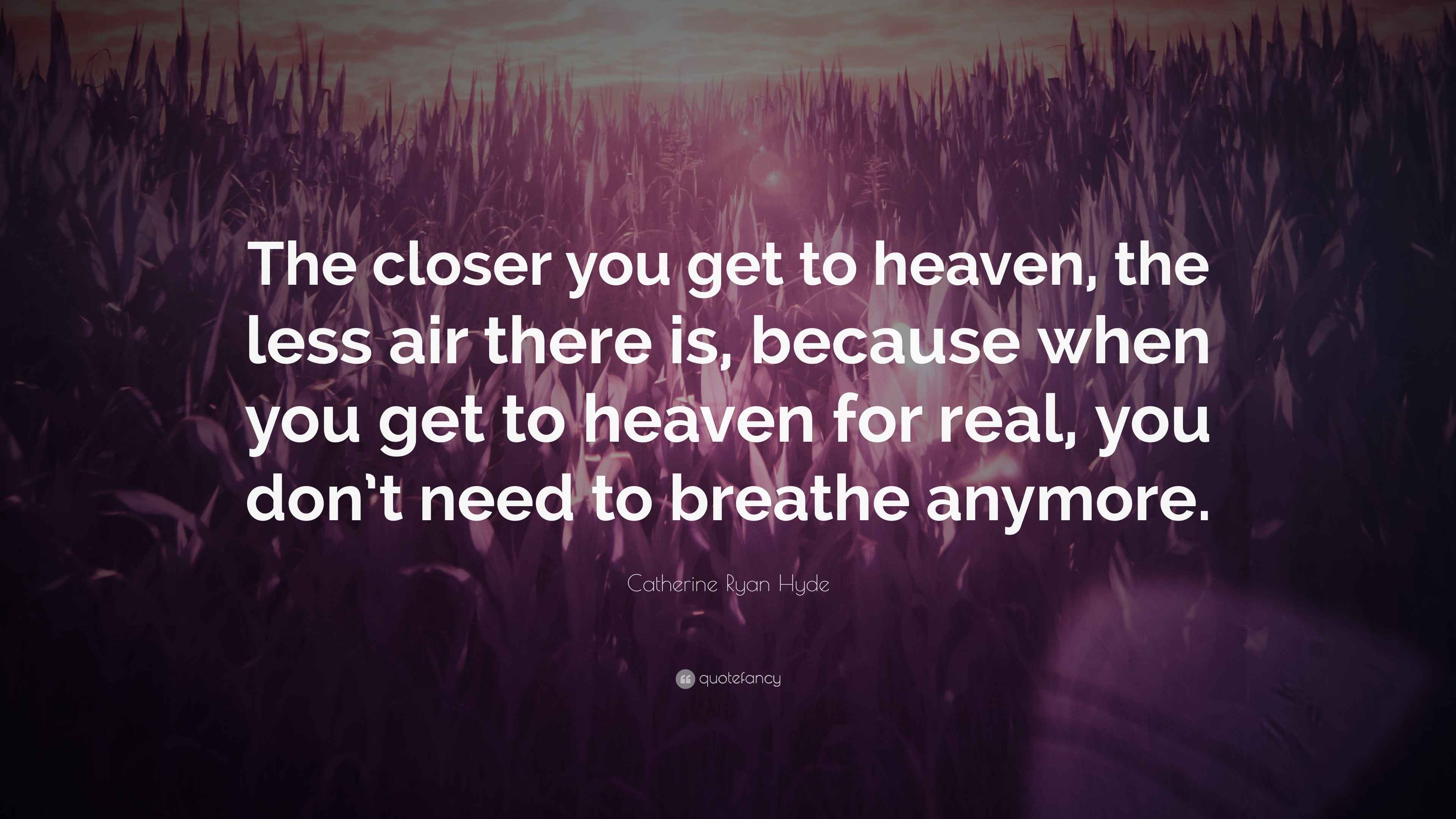 Catherine Ryan Hyde Quote: “The closer you get to heaven, the less air ...
