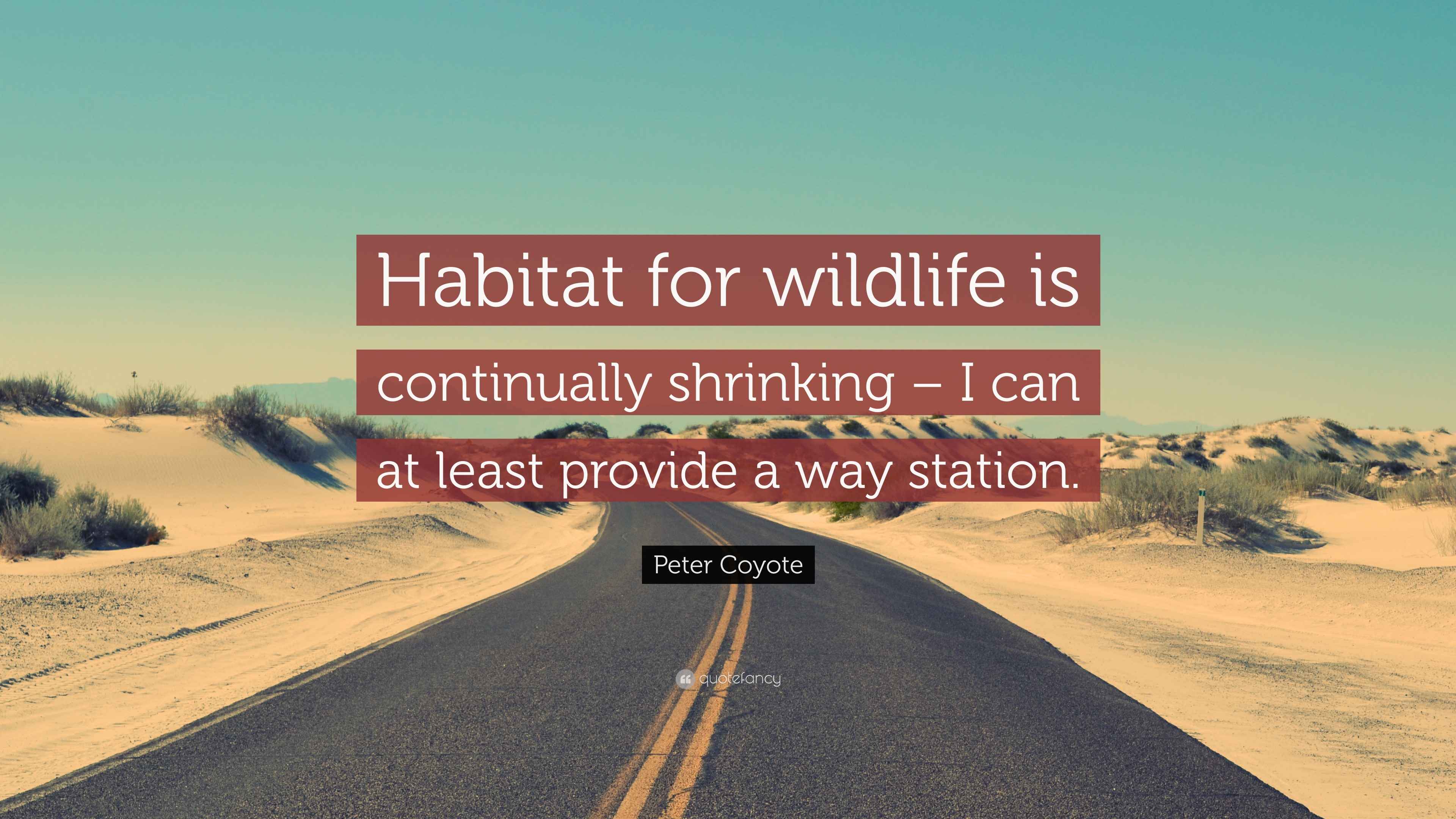 Peter Coyote Quote: “Habitat for wildlife is continually shrinking – I ...