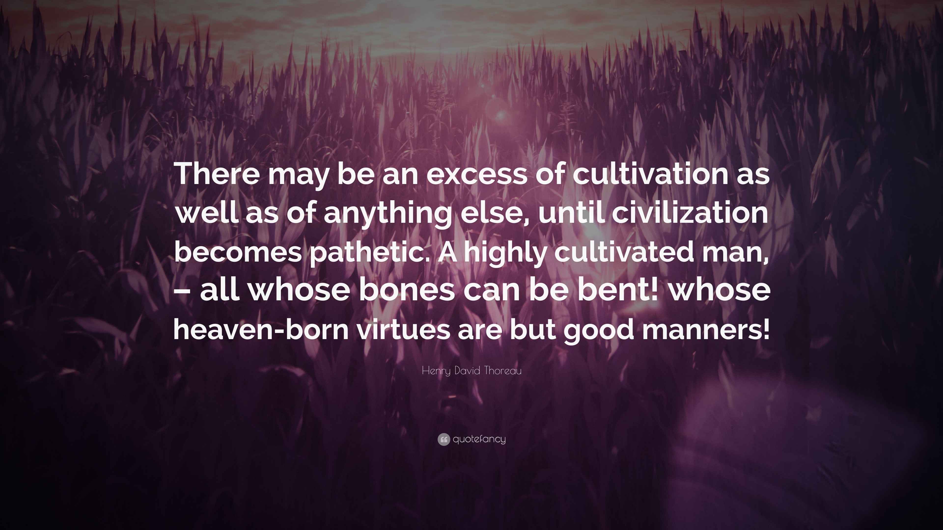 Henry David Thoreau Quote: “There may be an excess of cultivation as ...