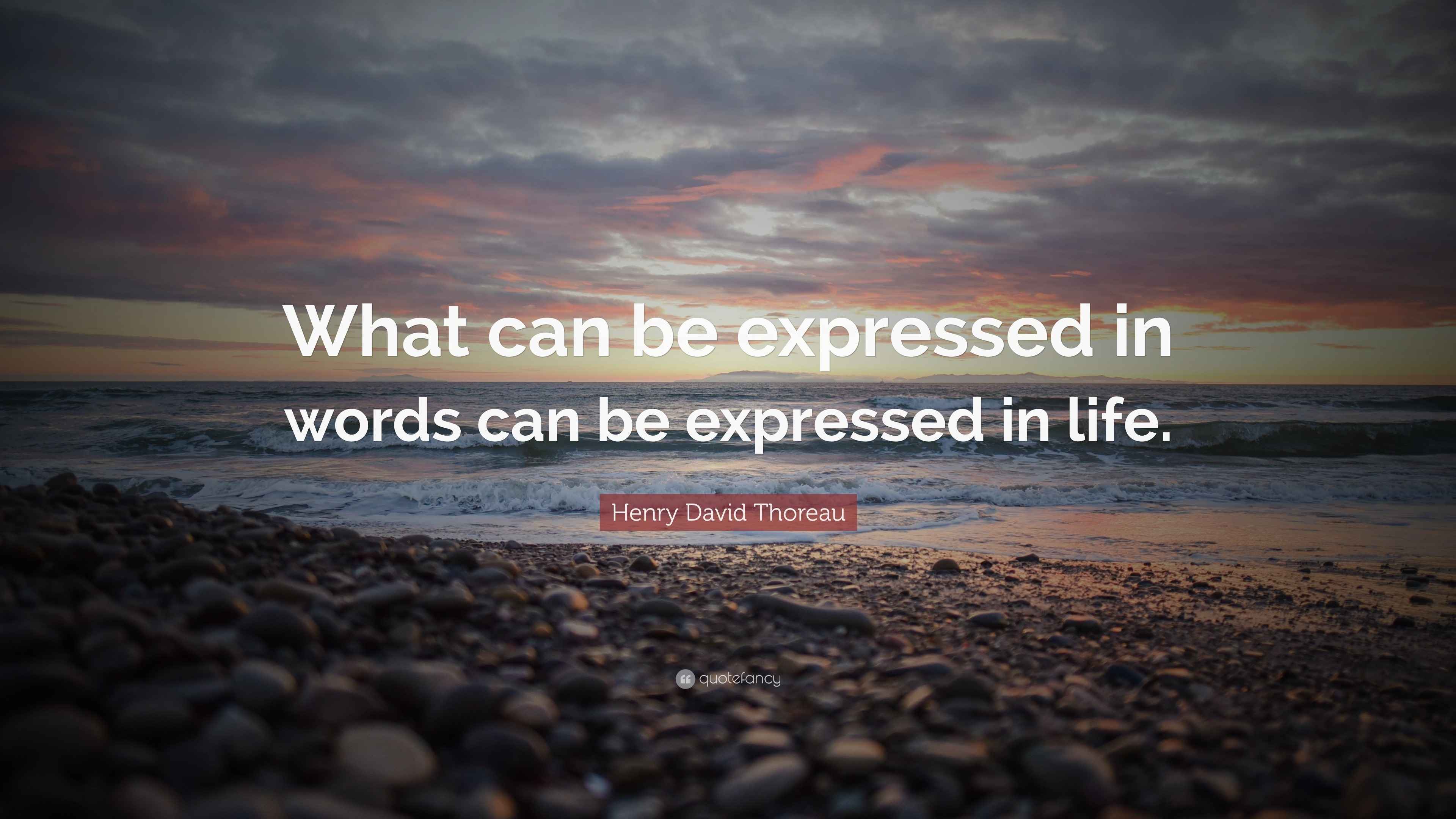 Henry David Thoreau Quote: “What can be expressed in words can be ...