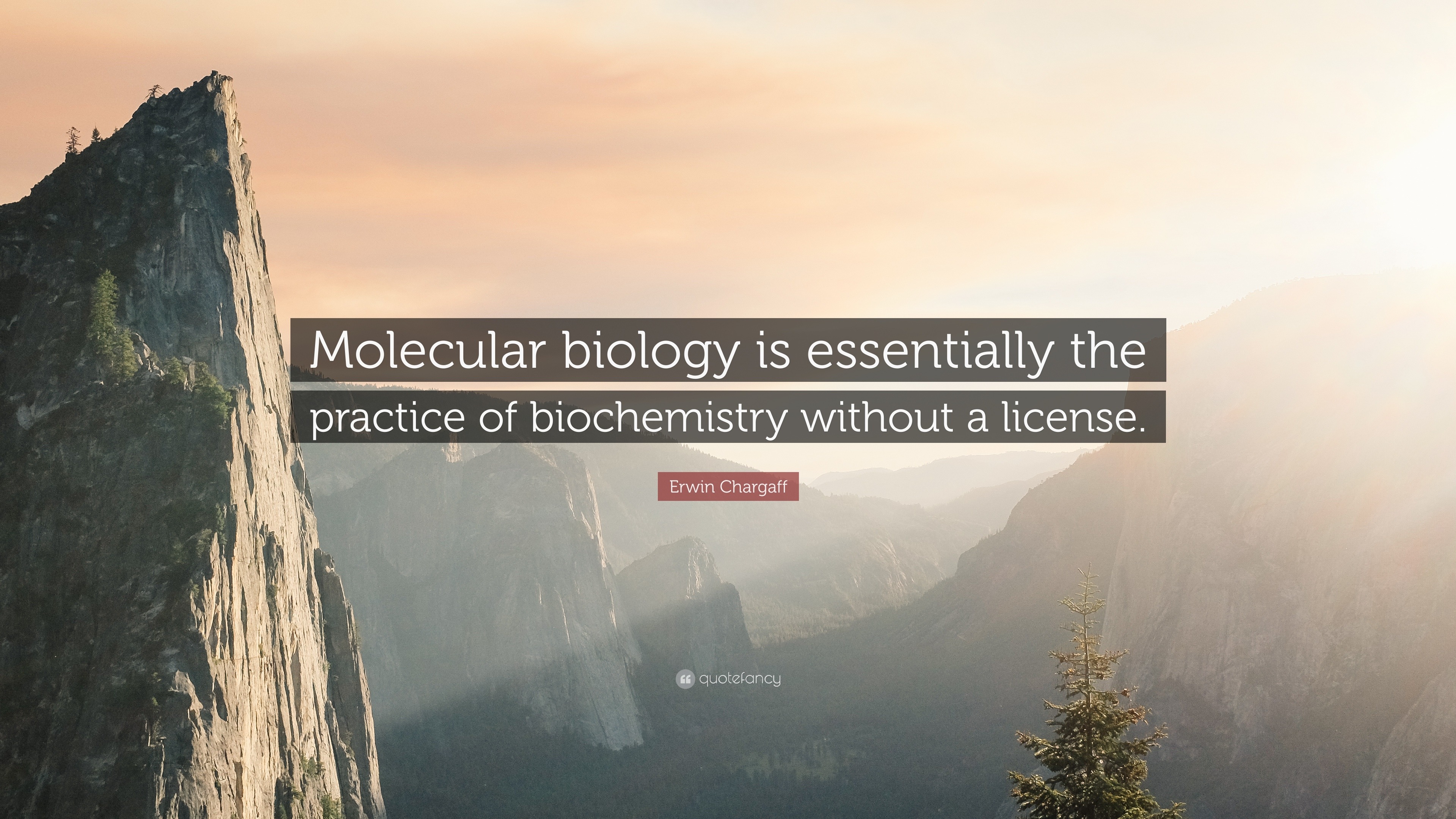 Erwin Chargaff Quote: “Molecular biology is essentially the practice of ...