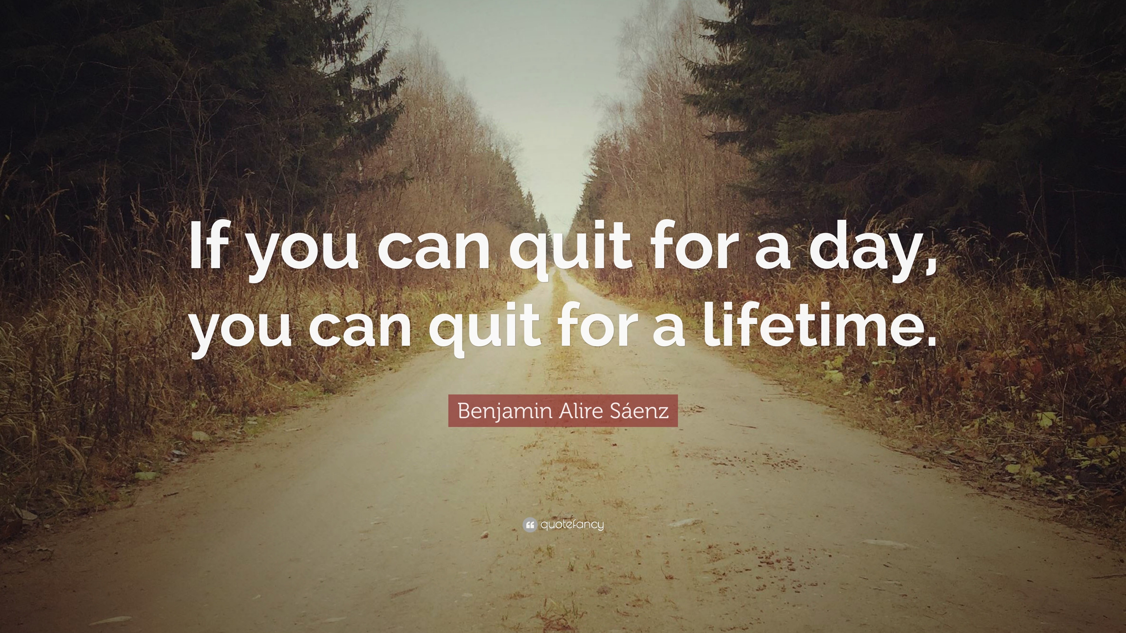 Benjamin Alire Sáenz Quote: “If you can quit for a day, you can quit ...