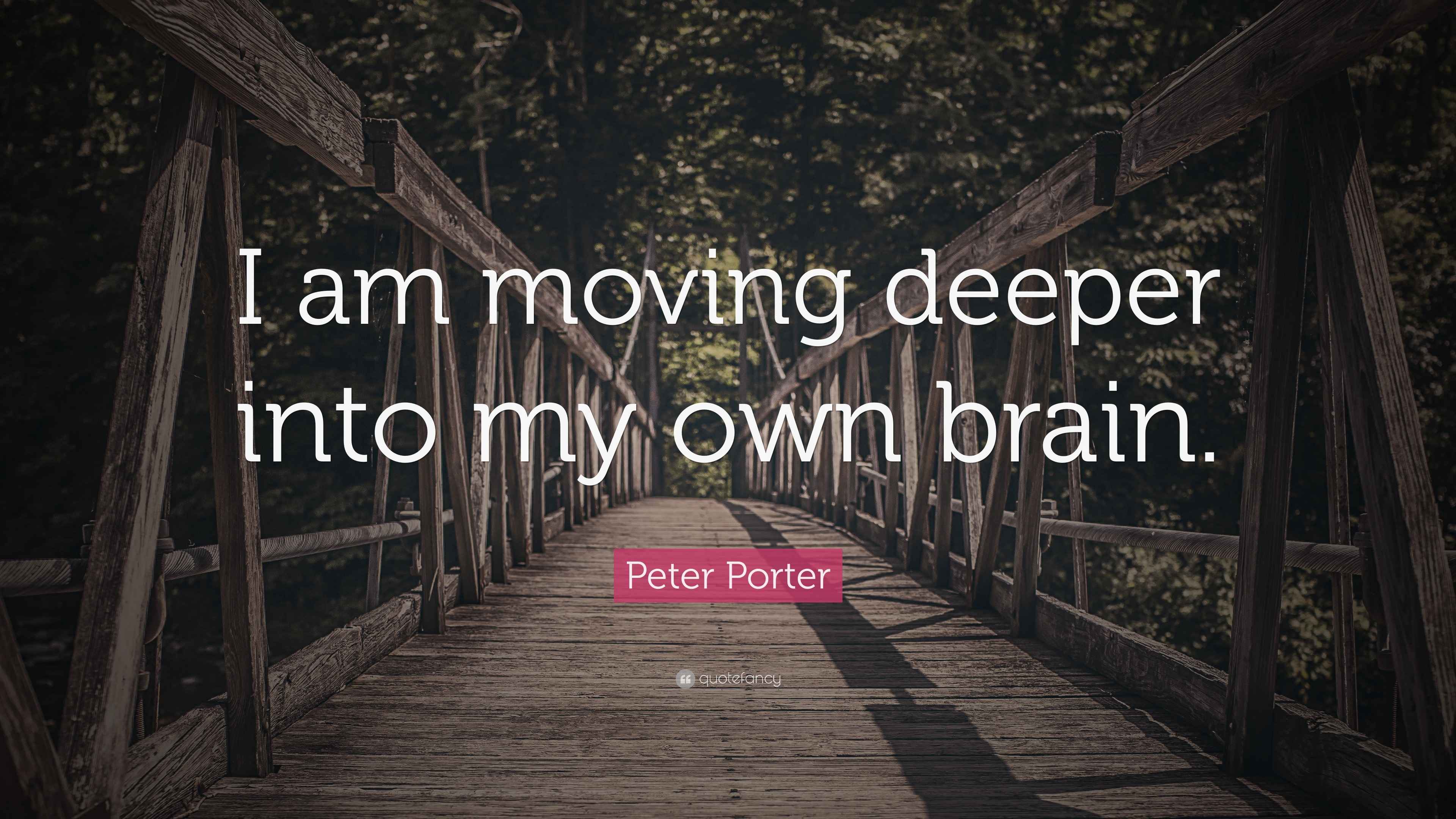 Peter Porter Quote: “I am moving deeper into my own brain.”