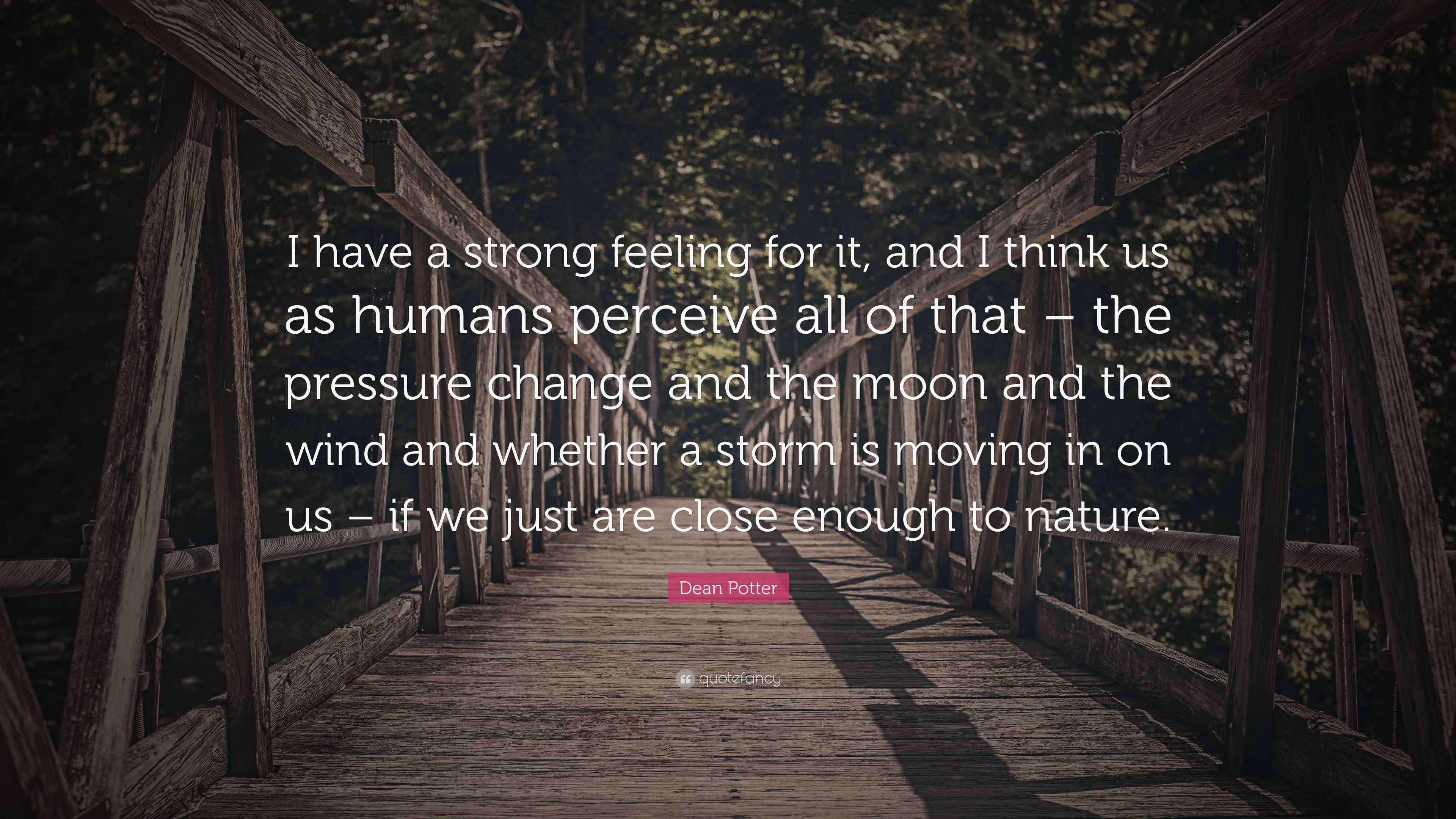 Dean Potter Quote: “I have a strong feeling for it, and I think us as ...