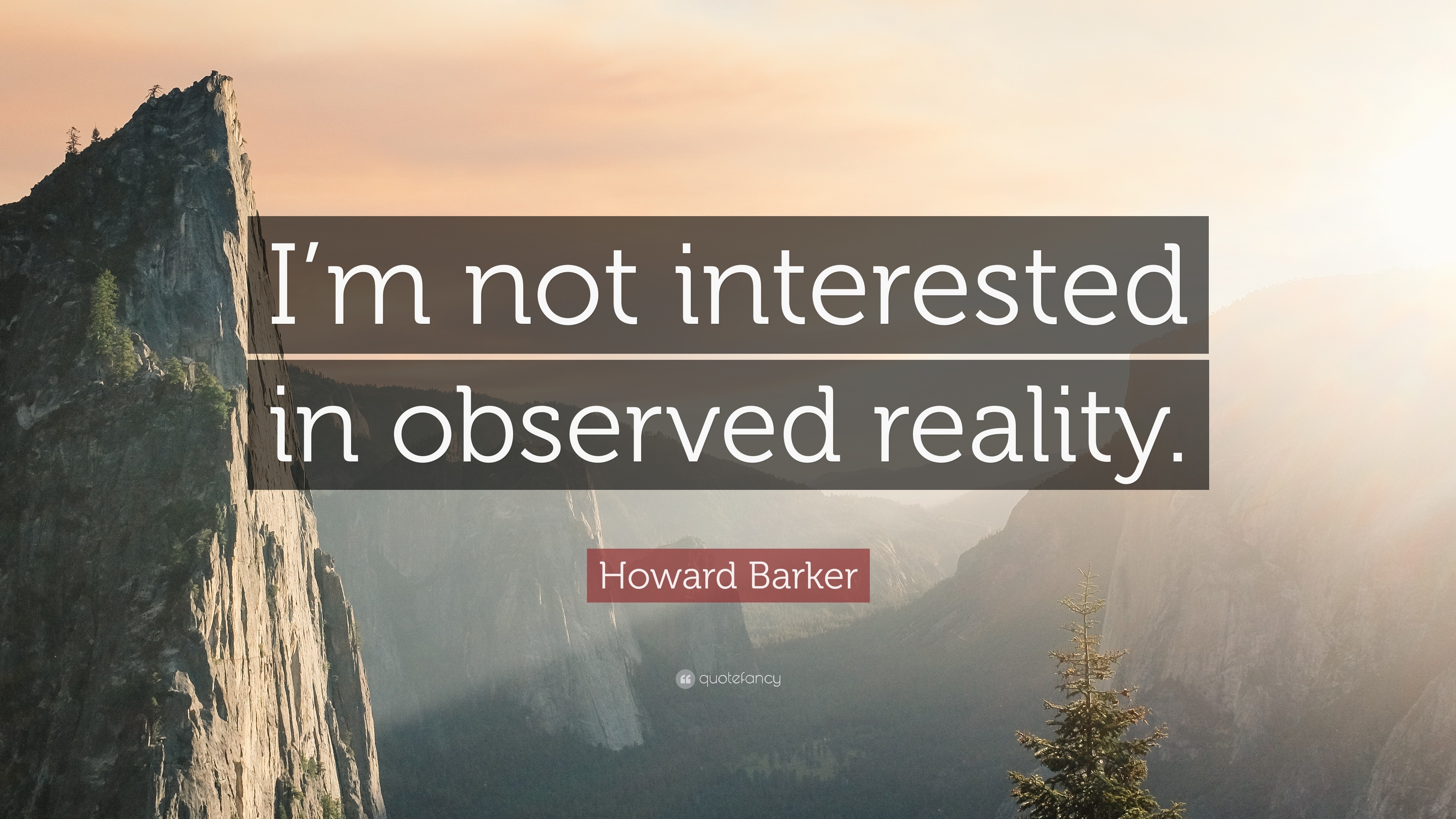 Howard Barker Quote: “I’m not interested in observed reality.”