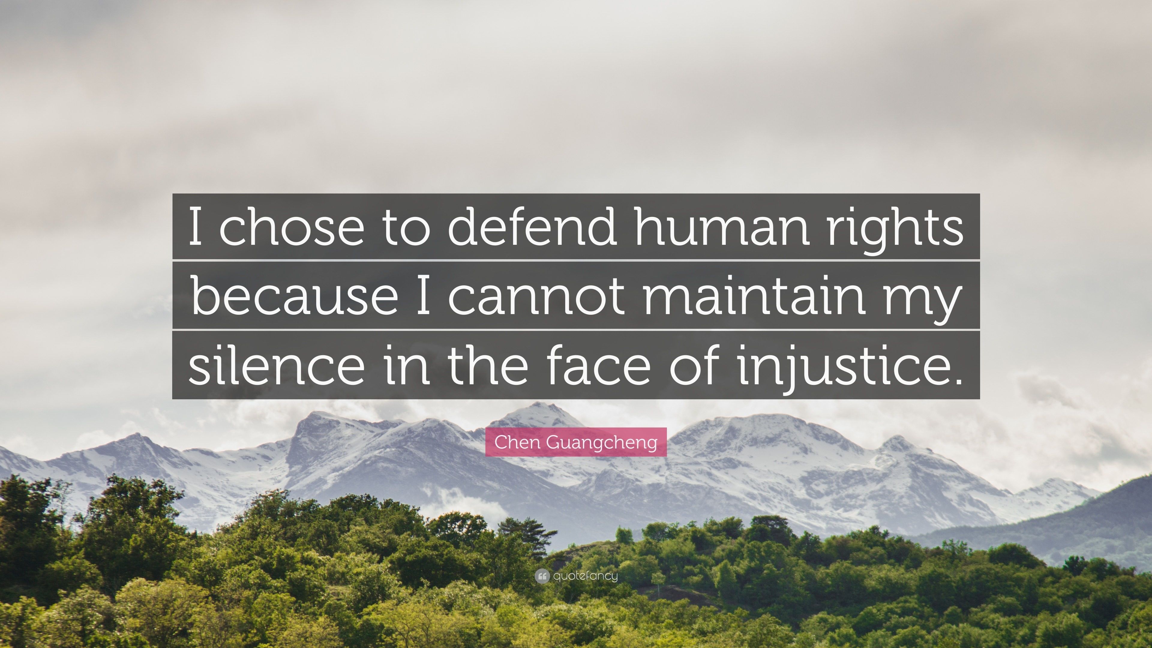 Chen Guangcheng Quote: “I chose to defend human rights because I cannot ...