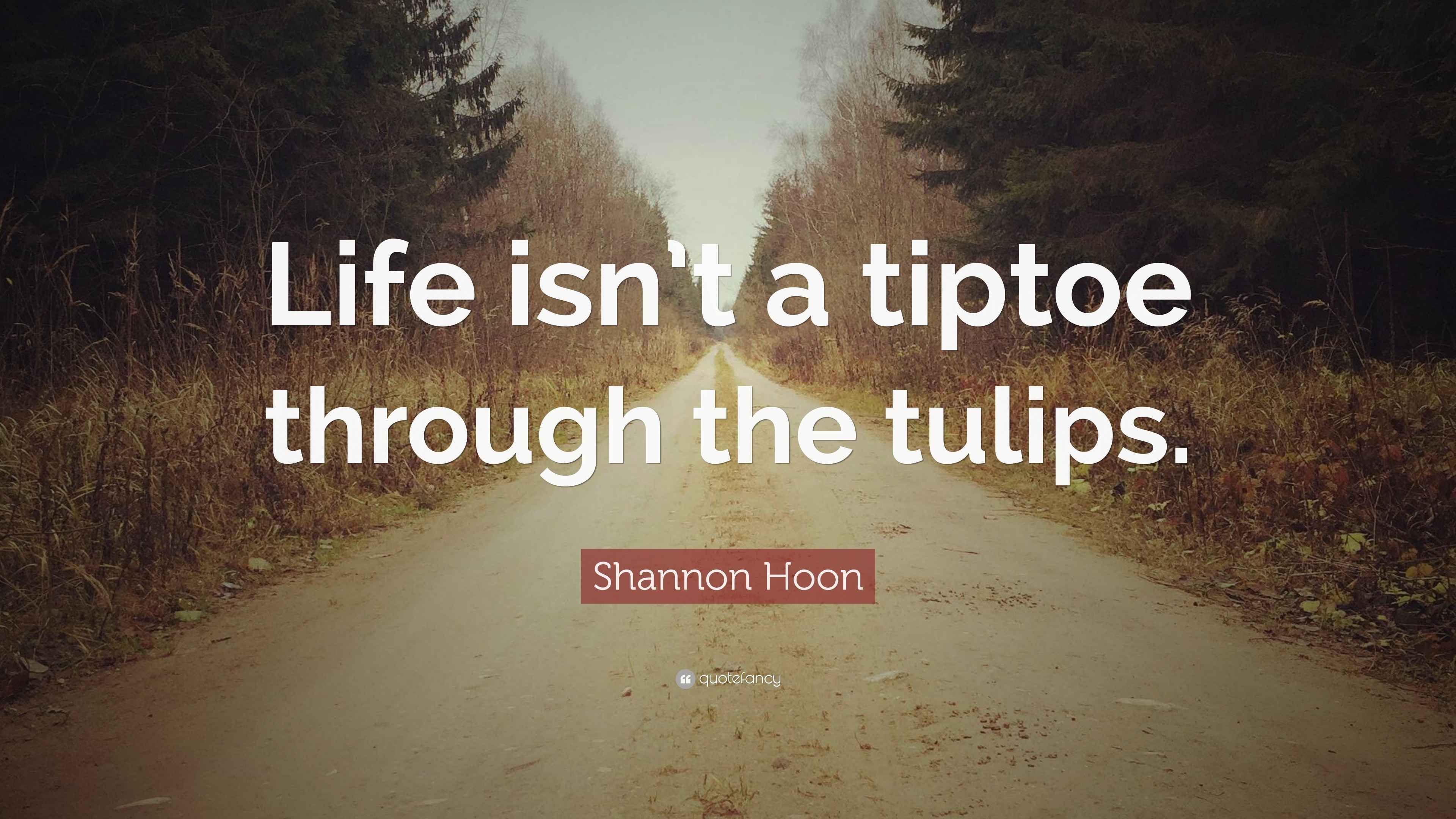 Shannon Hoon Quote: “Life isn’t a tiptoe through the tulips.”